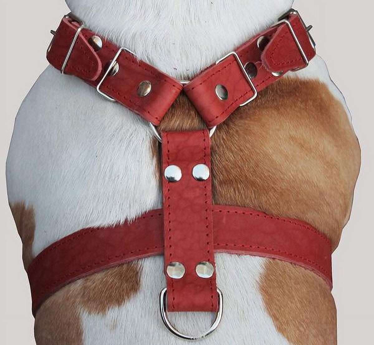 Red Genuine Leather Dog Harness Large. 30"-35" Chest size, 1.5" Wide ...