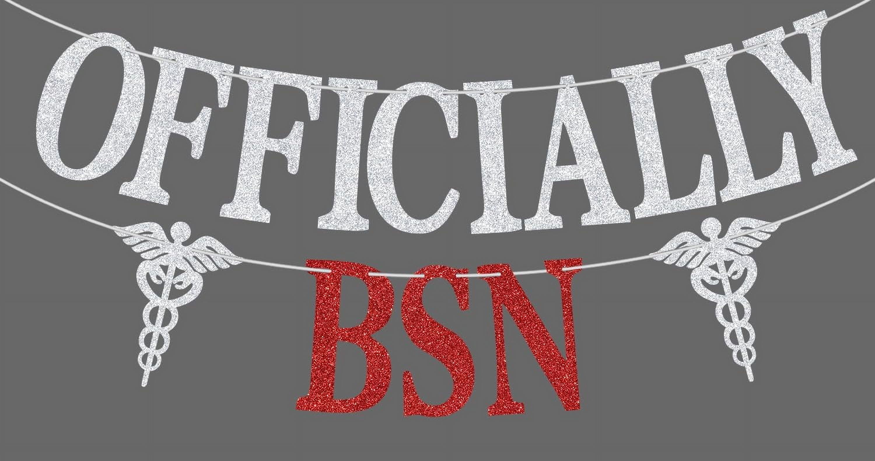 Red Glitter Officially BSN Banner, BSN Class of 2025/Nursing School ...