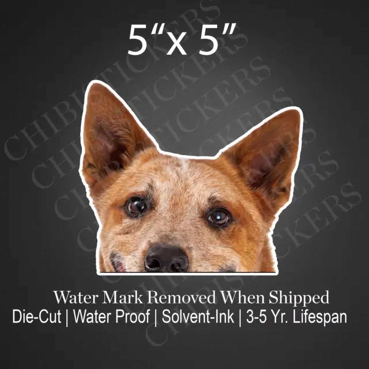 Red Heeler Australian Cattle Realistic Dog Sticker Vinyl Waterproof ...