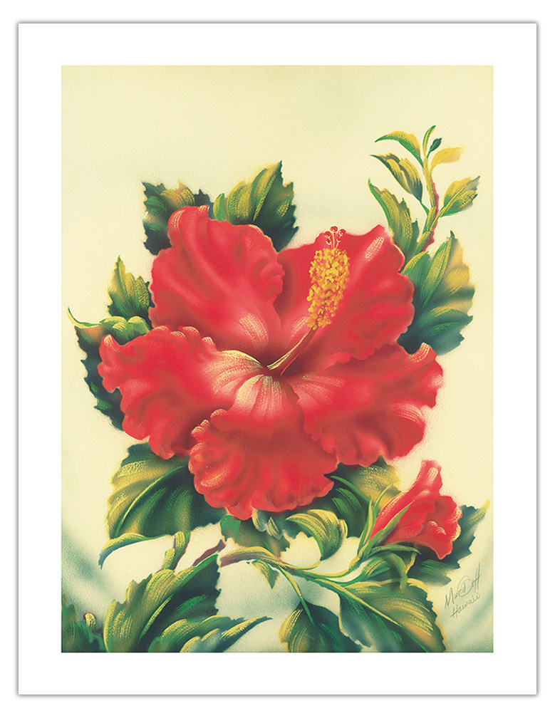 Red Hibiscus Hawai’i - Vintage Hawaiian Airbrush Art by Ted Mundorff c ...