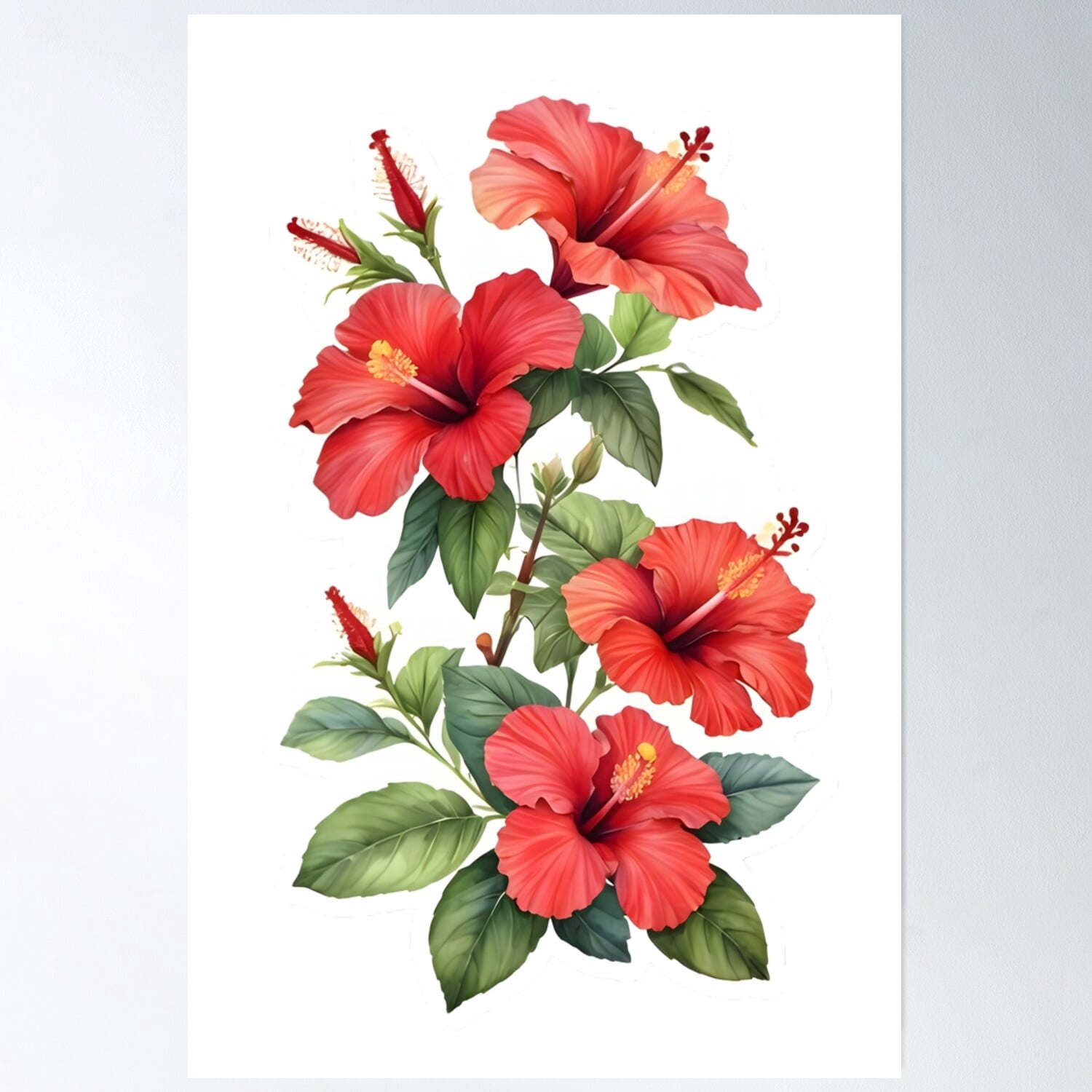Red Hibiscus Poster Wall Art, Modern Wall Decor, 12x18 UNFRAMED ...