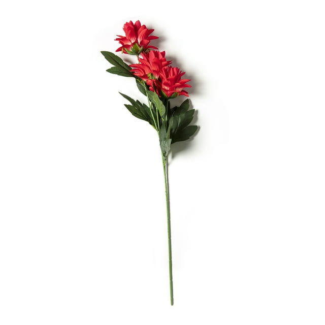 Red Hops Stem by Ashland® - Walmart.com