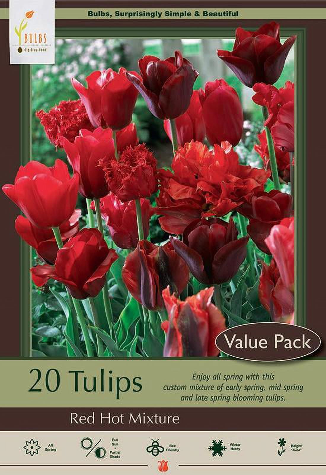 Red Hot Tulip Mix - 20 Bulbs - Fiery Red Blend! - 12/+ cm Bulbs ...