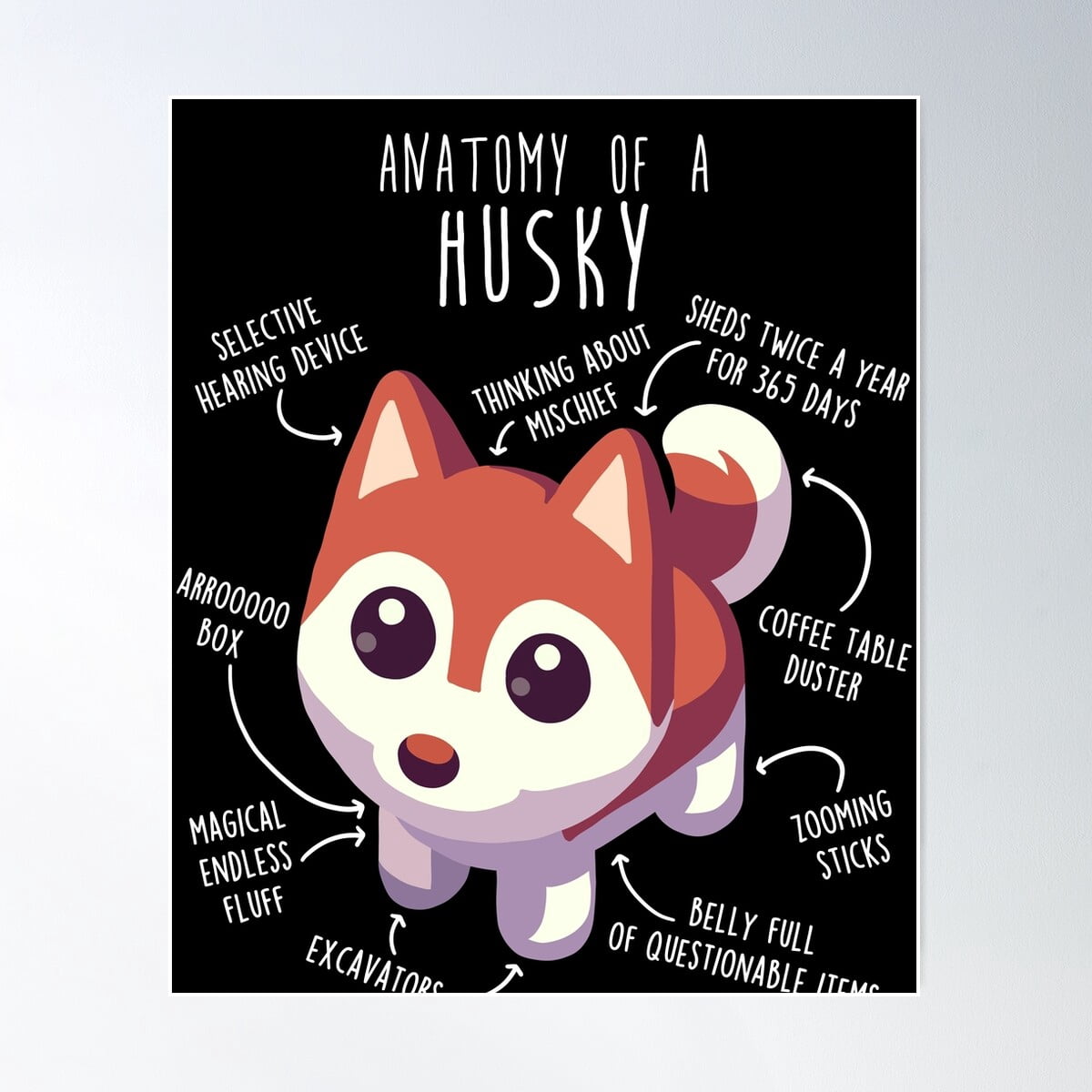 Red Husky Dog Anatomy Poster, 16x24 UNFRAMED - Walmart.com