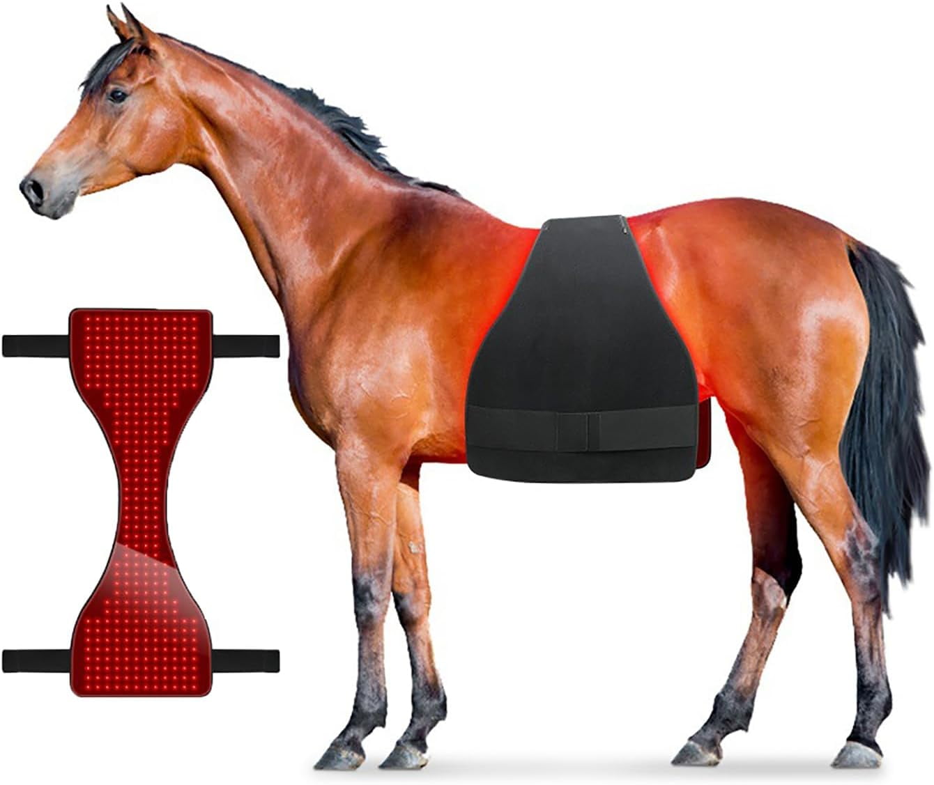 Red and Infrared Light Therapy Device for Horses, Red Light Therapy ...