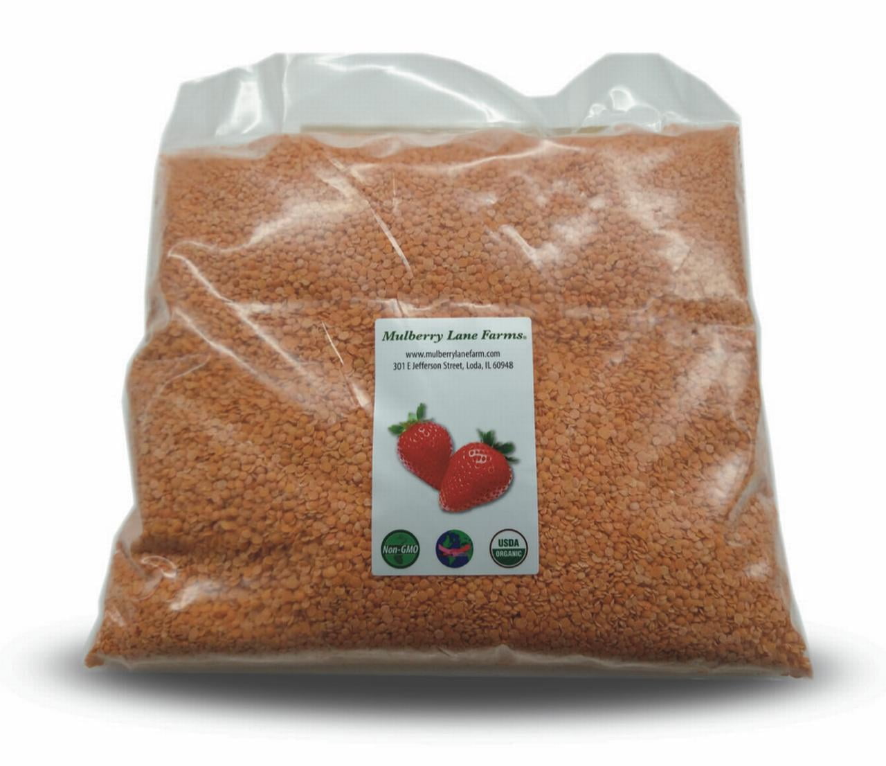 Red Lentils 5 Pounds (Five lbs) USDA Certified Organic Non-GMO, Product ...