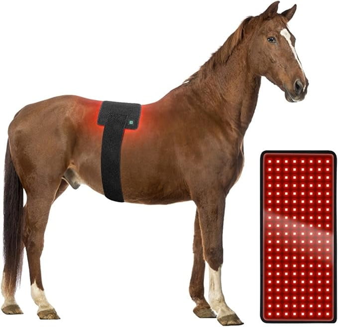 Red Light Therapy Belt for Horse, Portable Wearable Red Light Therapy ...