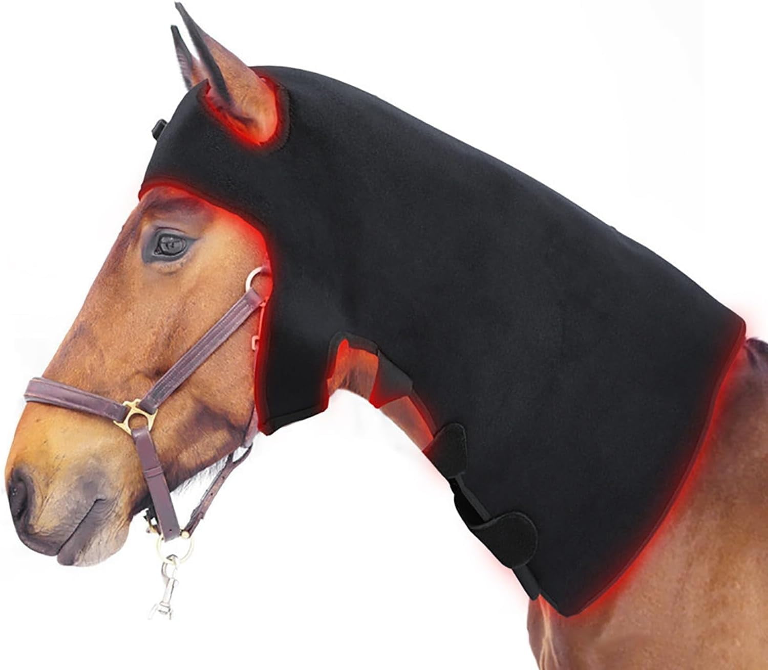 Red Light Therapy Equipment for Horses, Wearable Horses Red & Infrared ...