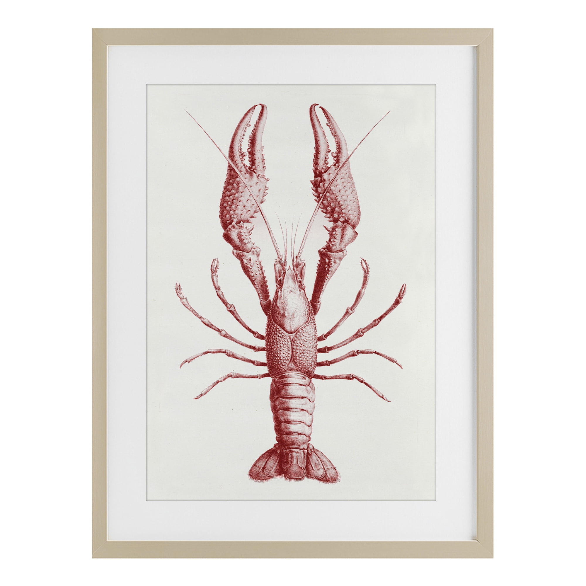 Stupell Industries Red Lobster Traditional Details Birch Framed Print ...