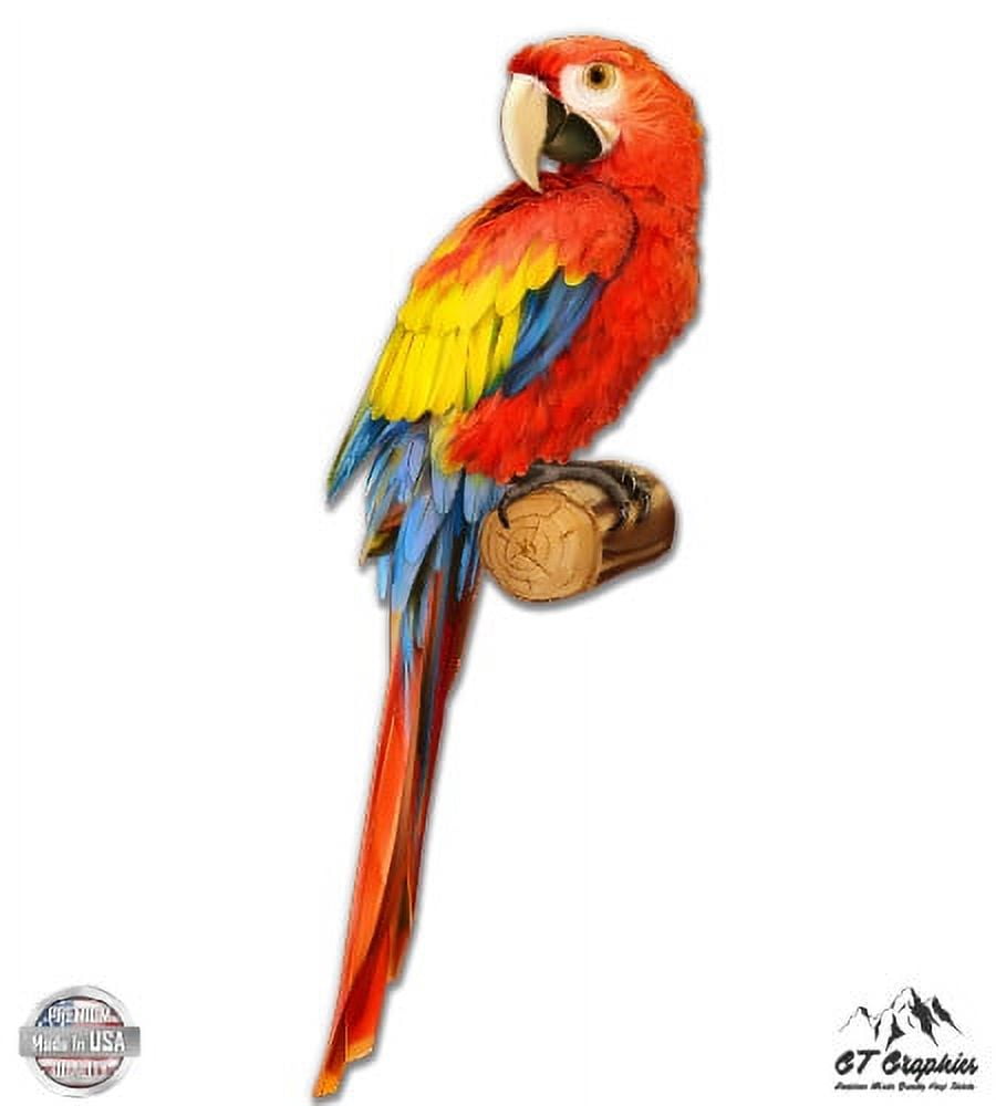 Red Macaw Beautiful - 12" Vinyl Sticker Waterproof Decal - Walmart.com