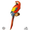 Red Macaw Beautiful - 5" Vinyl Sticker - For Car Laptop I-Pad ...