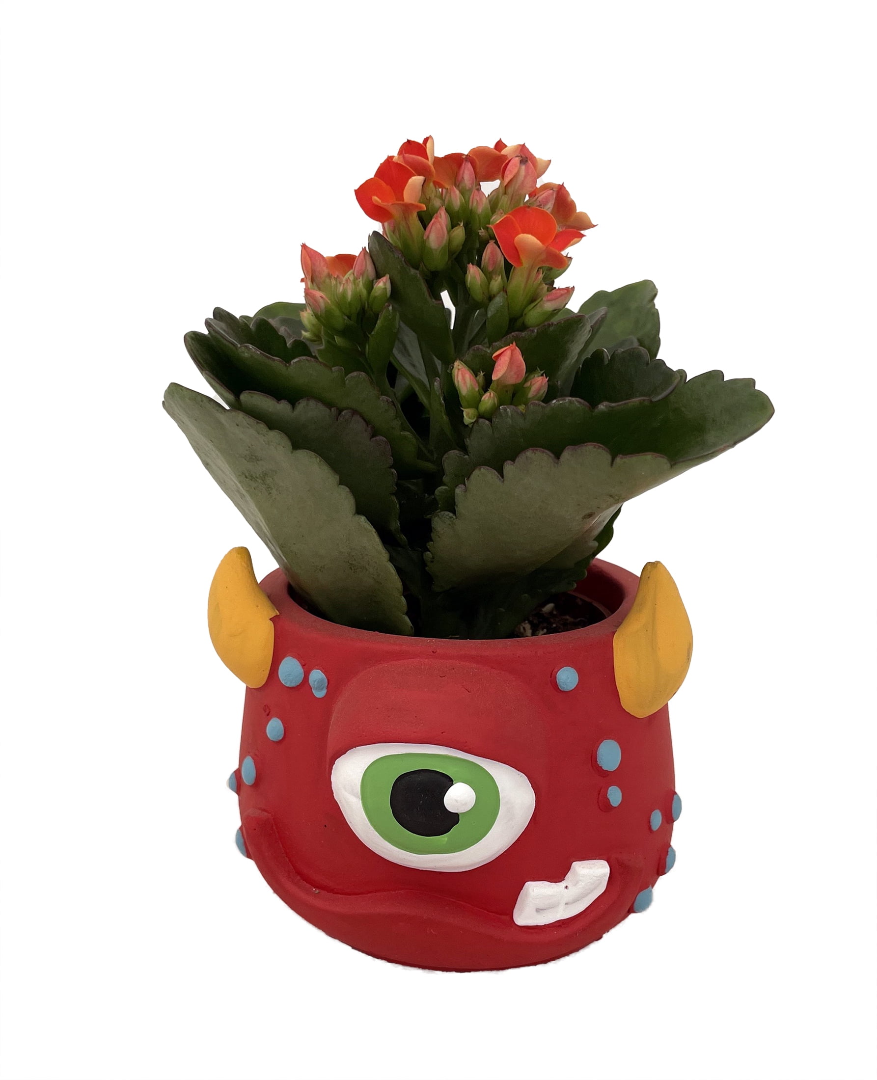 Red Mini Monster Ceramic Planter with Kalanchoe Succulent Plant - 3 ...