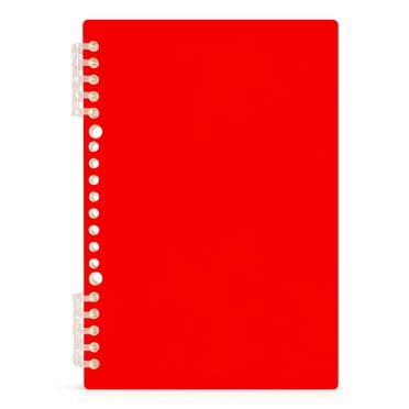 five star spiral notebook, 1 subject, wide ruled paper, 100 sheets, 10 ...