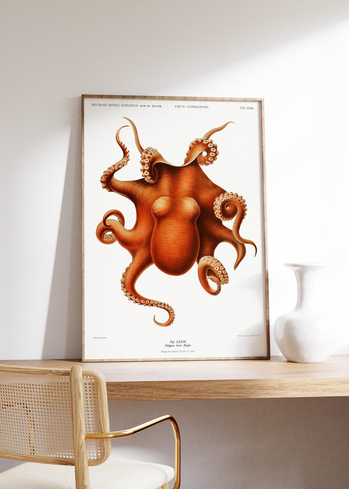 Red Octopus Vintage Print, Marine Animal, Nautical Home Decor, Ocean ...