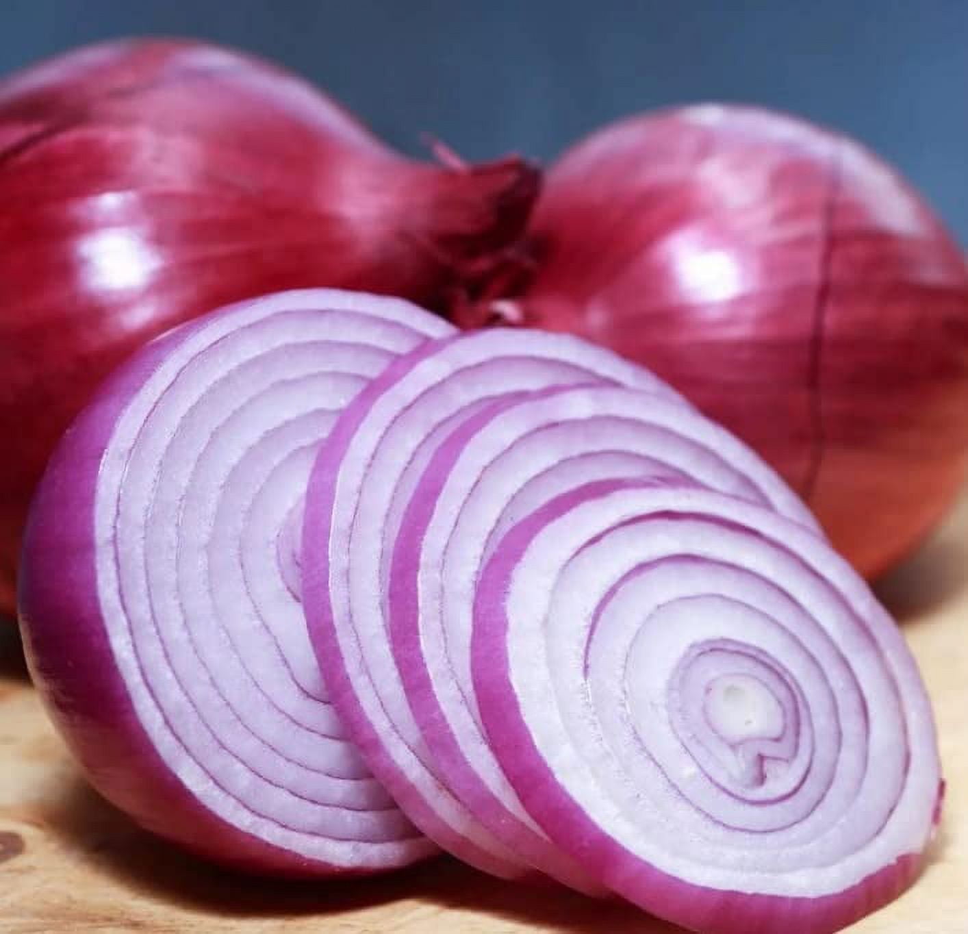 CZ Grain 500 Red Onion Plant Seed, Cheeseburger and Salad Onions ...