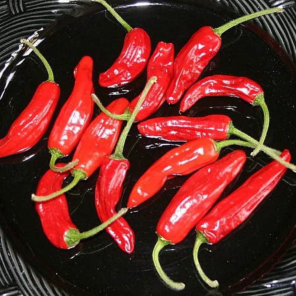 Red Onza Heirloom Pepper Premium Seeds - Walmart.com