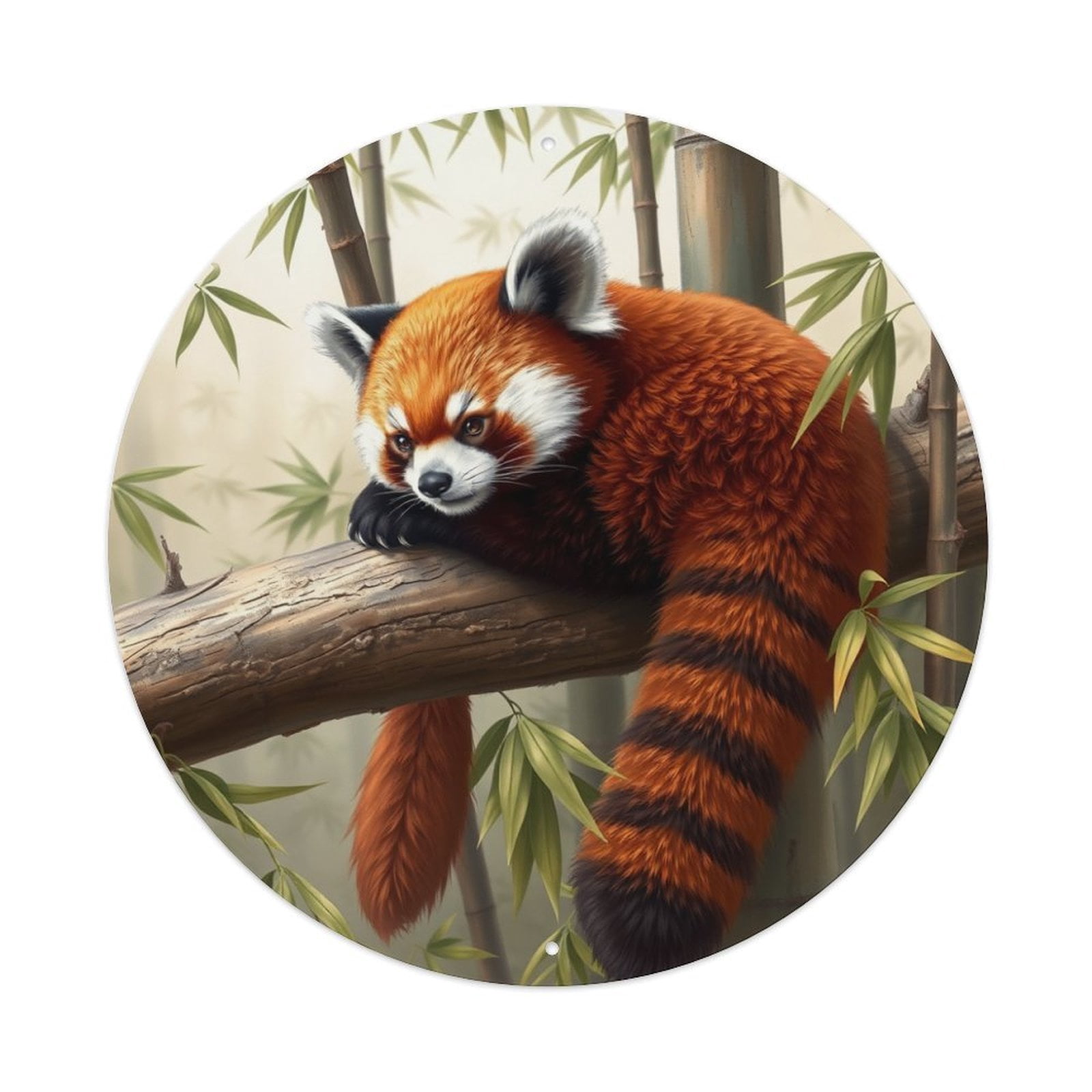 Red Panda Bamboo Cute7.9x7.9in Round Aluminum Plaque Wall Art, UV ...