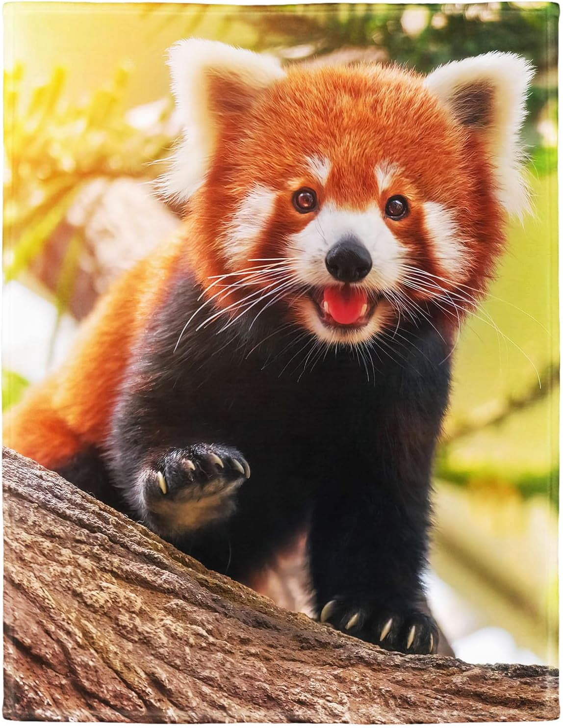 Red Panda Blanket Cute Little Panda Fleece Blanket Soft Fuzzy Plush ...