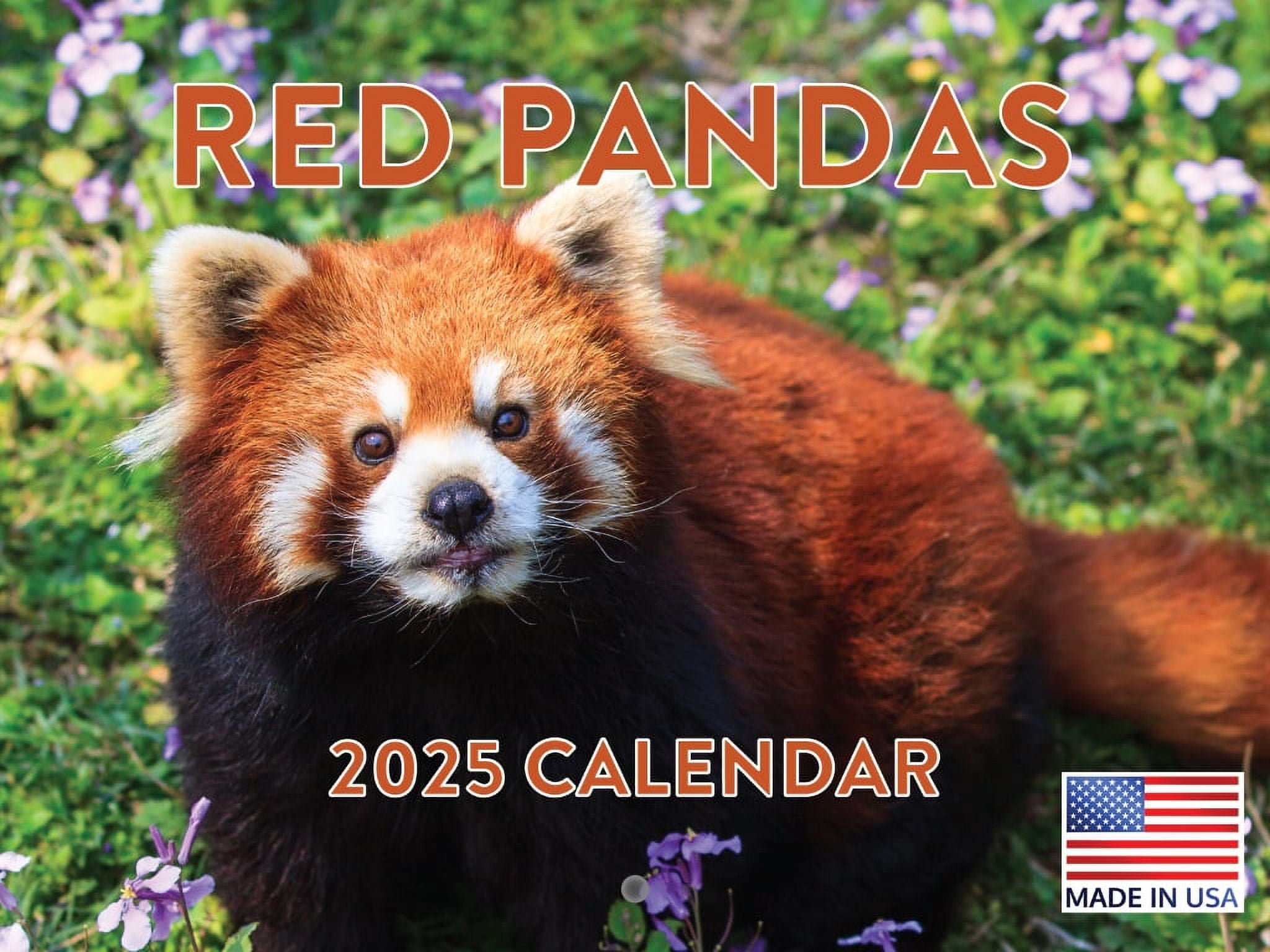 Red Panda Calendar 2025 Monthly Wall Calender 12 Month | American Made ...