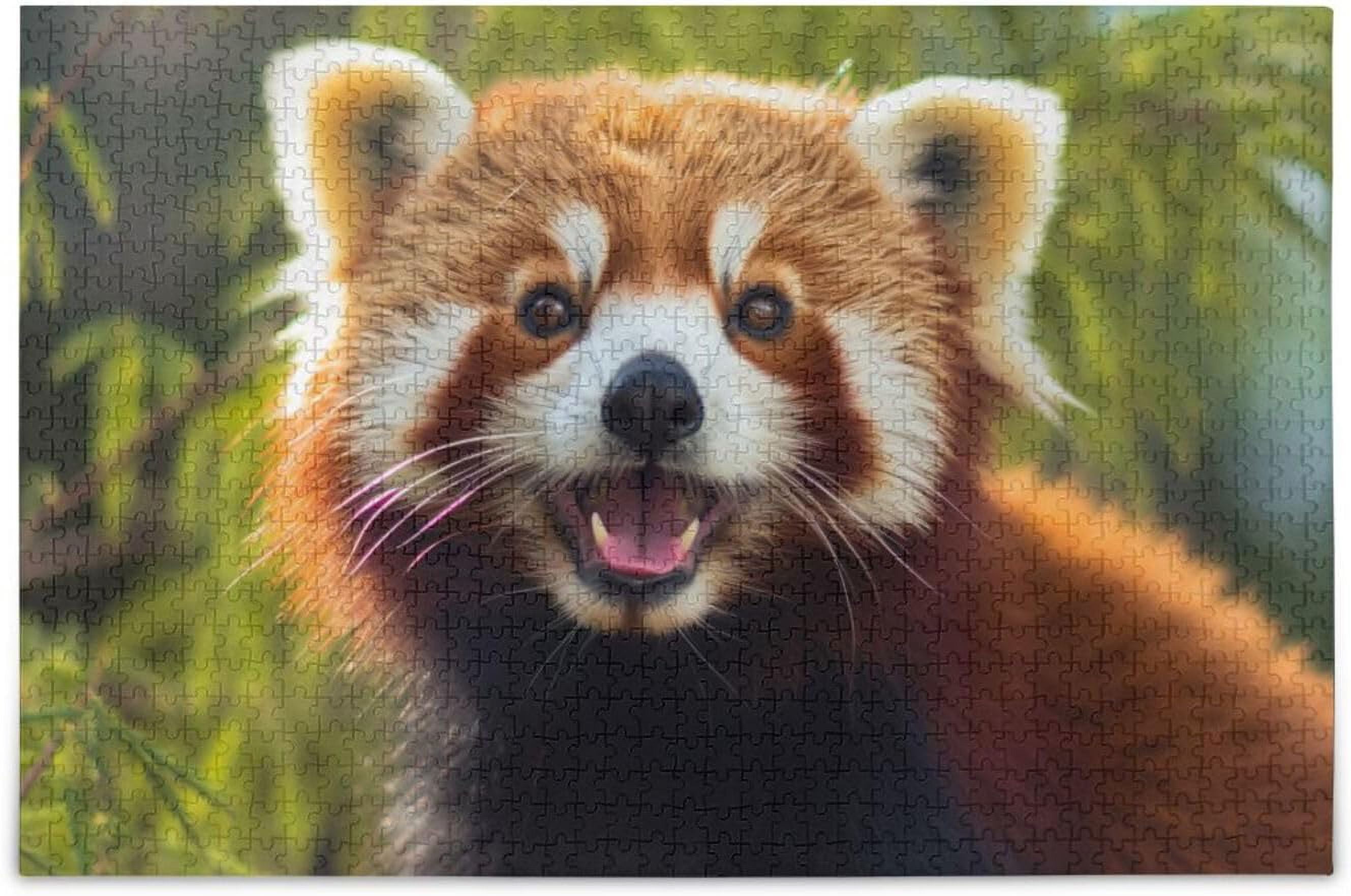 Red Panda Jigsaw Puzzles for Adults 1000 Pieces, Die-Cut Puzzle Pieces ...