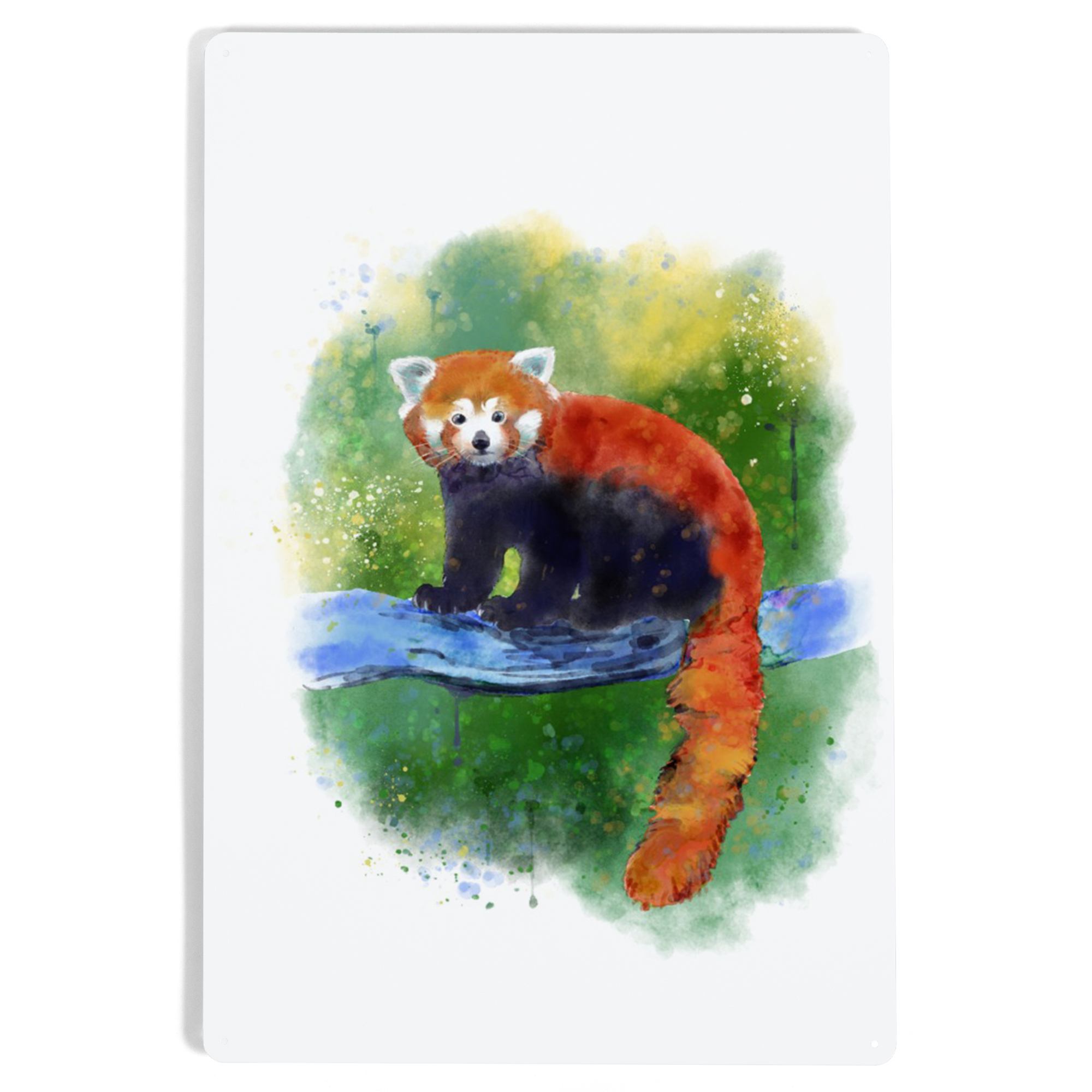 Red Panda, Watercolor (12x18 Aluminum Art, Indoor Outdoor Metal Sign ...