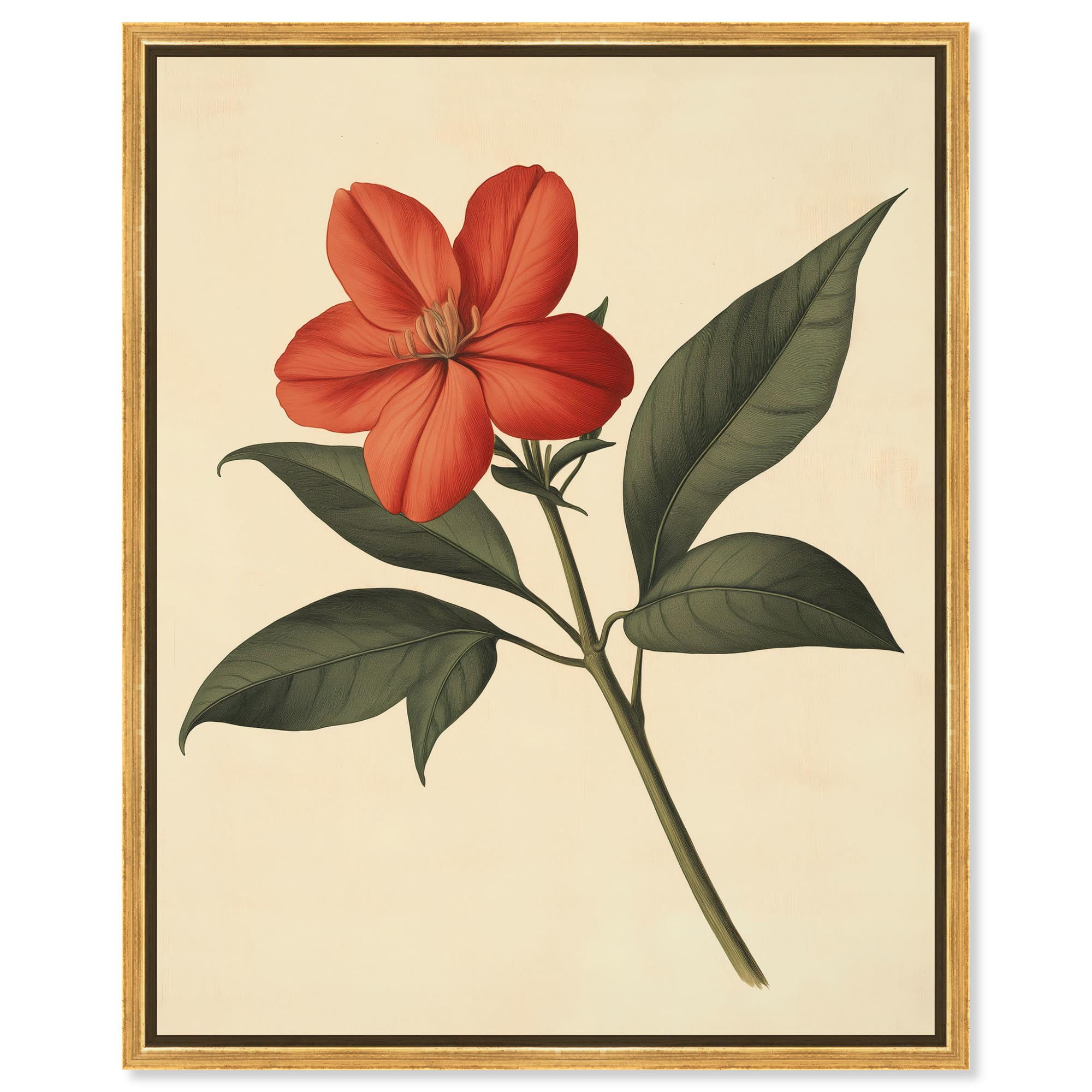 Red Petal Reverie II Canvas Vintage Botanicals by Art Remedy, Gold Frame, 24" x 30" - Walmart.com