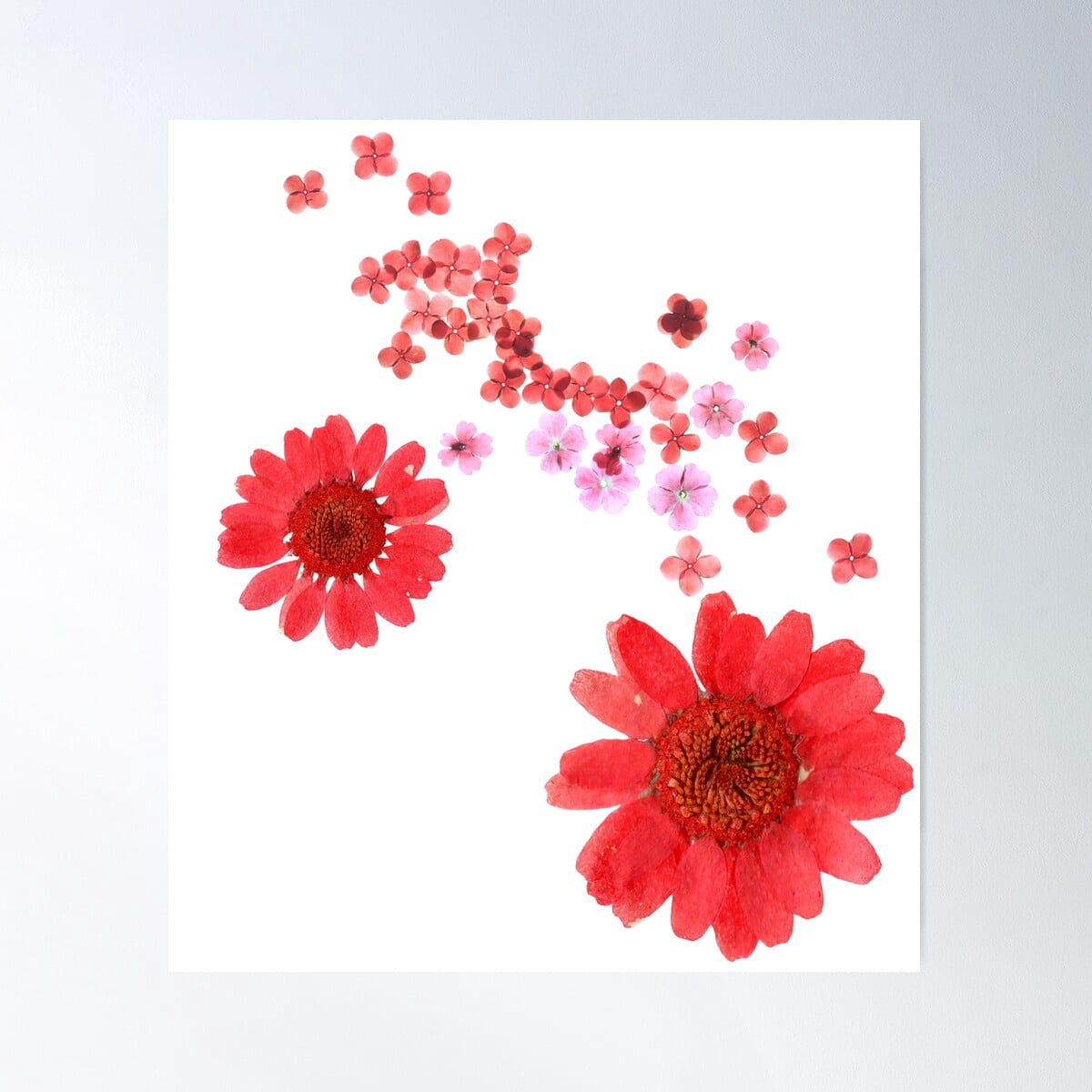 Red, Pink And Purple Flowers Poster Wall Art, Modern Wall Decor For ...