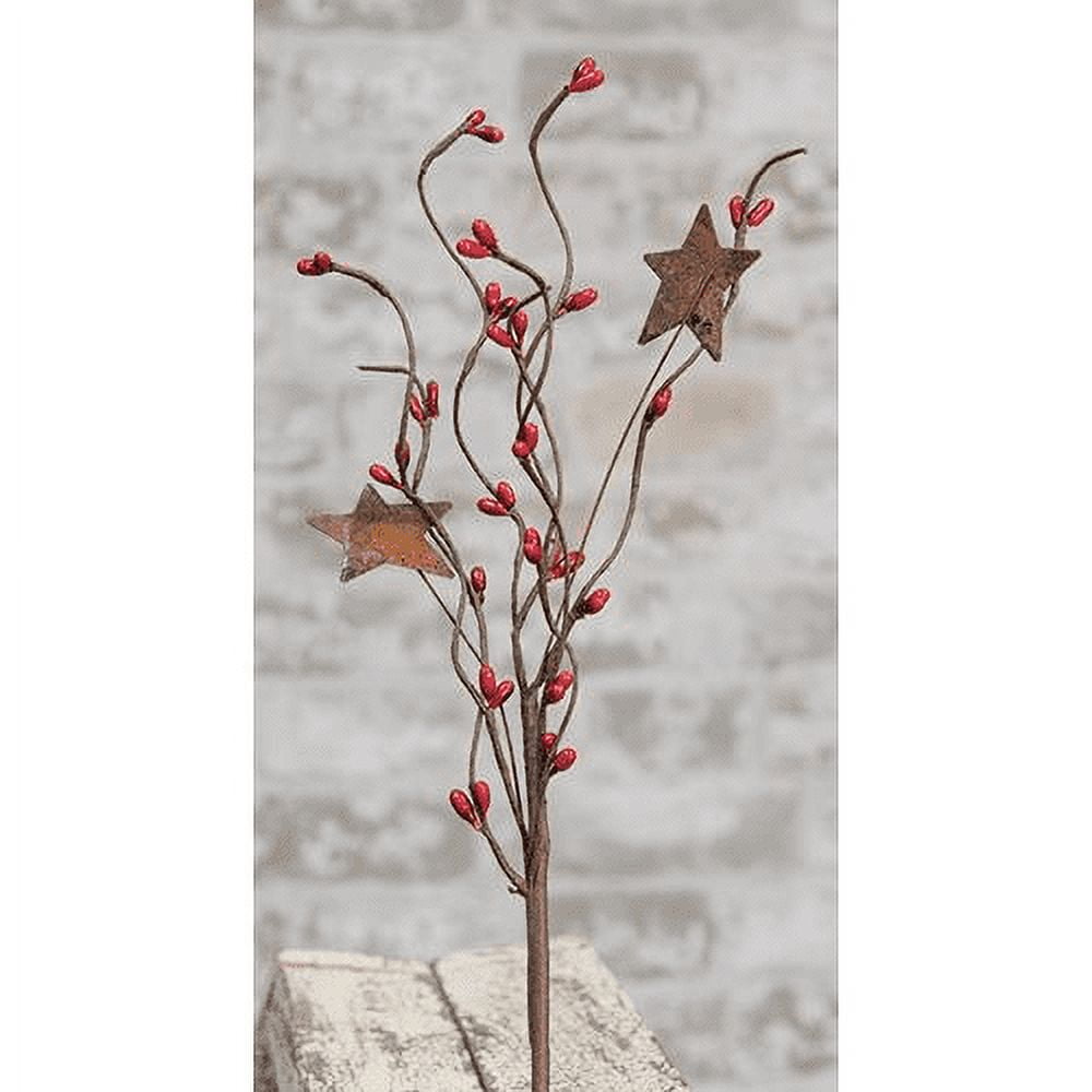 Red Pip & Star Pick 12" - Walmart.com