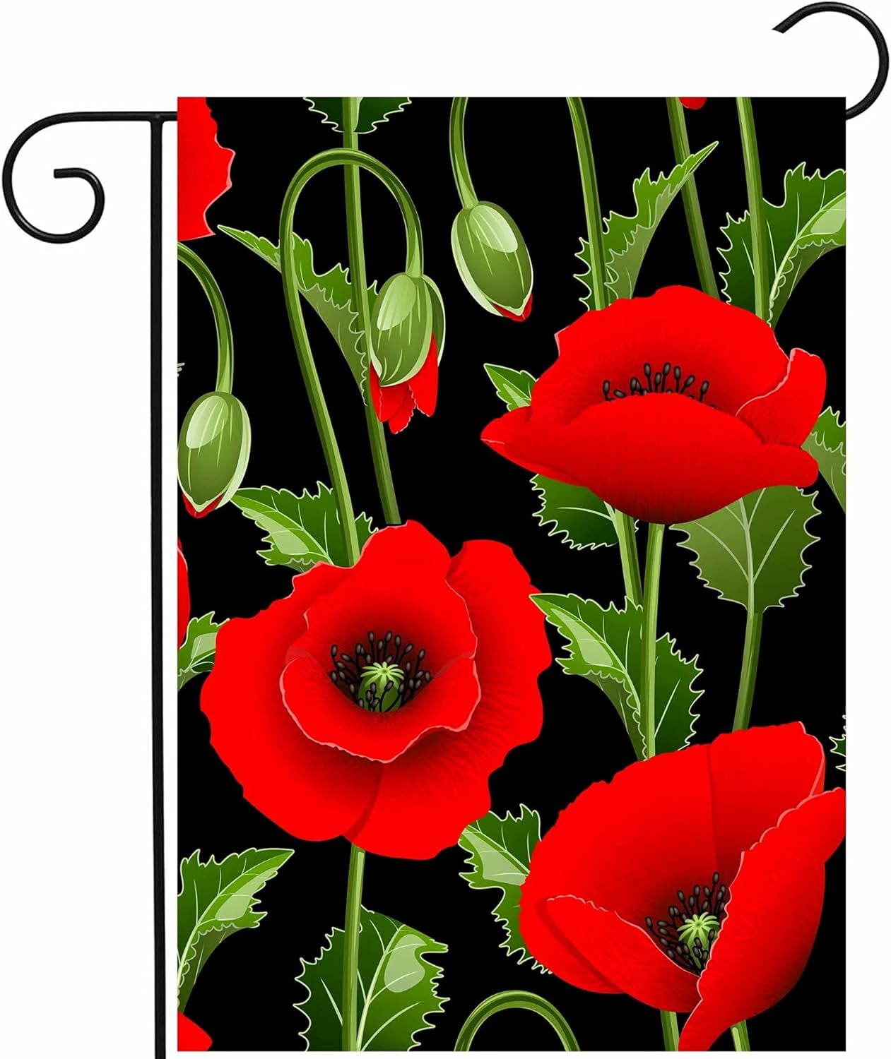 Red Poppies Flowers Plant Leaves in Spring Summer Floral Poppy Seasonal ...