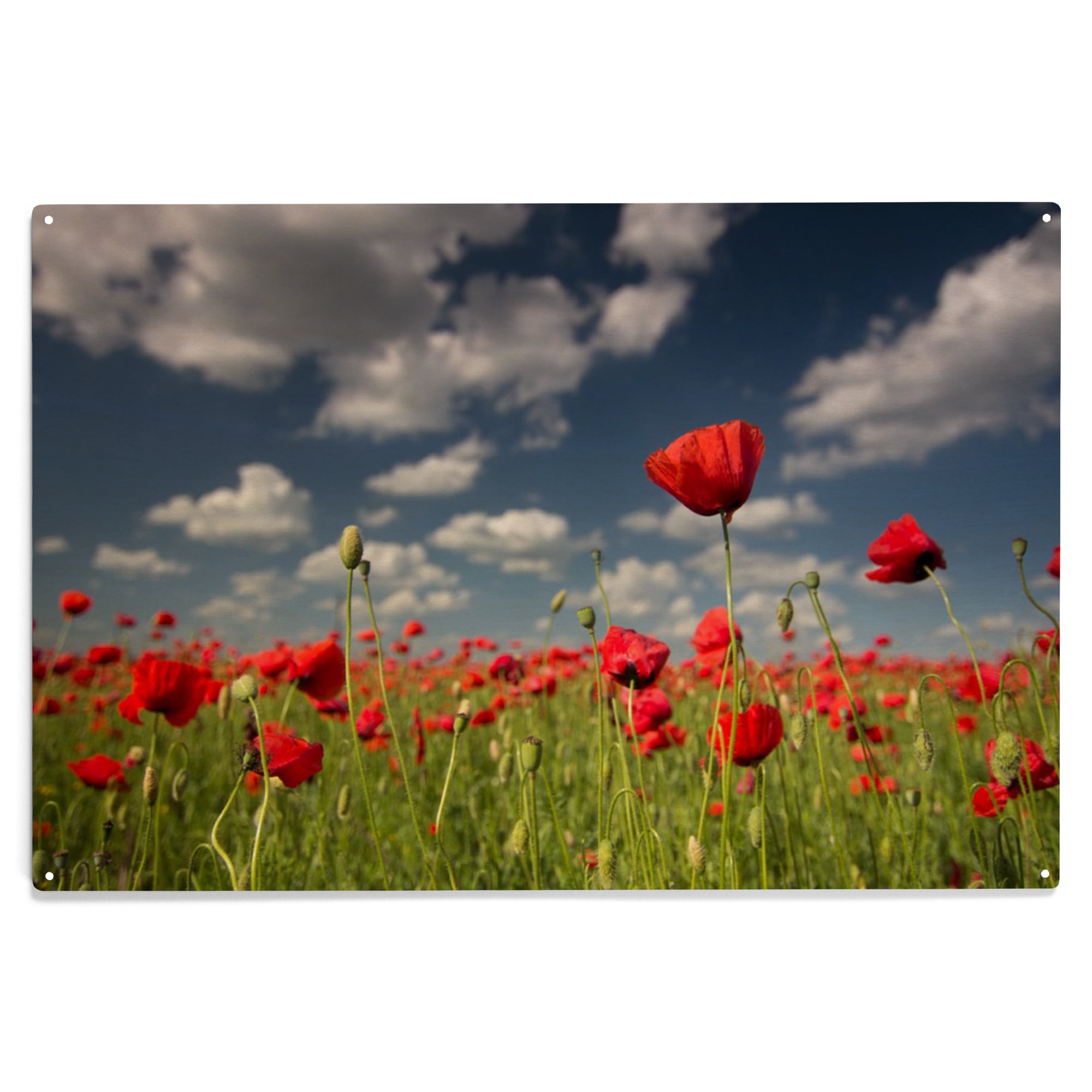 Red Poppy Field Birch Wood Wall Sign (10x15 Rustic Home Decor, Ready to ...