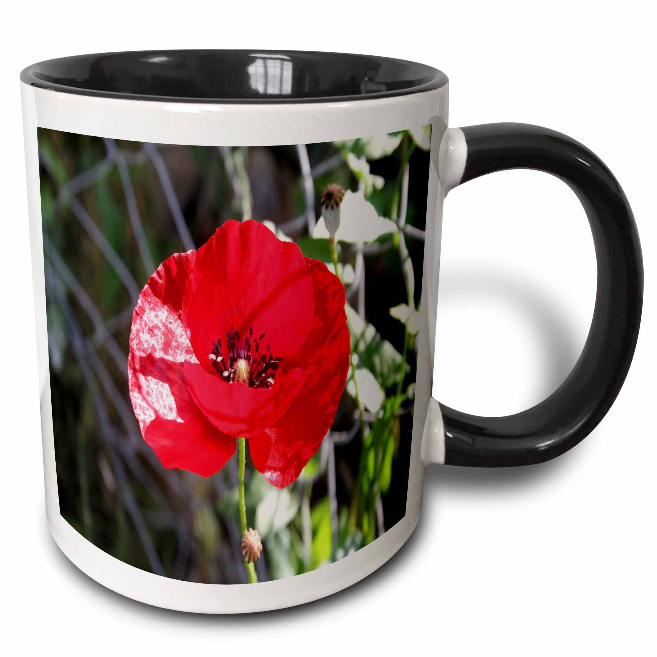 3drose, Red Poppy - Poppy, Poppies, Poppy Fields, Flanders Fields ...