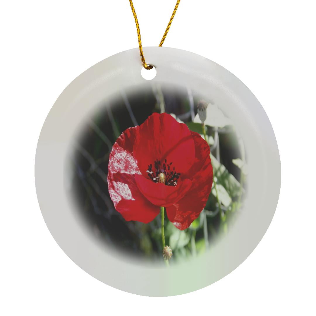 3drose, Red Poppy - Poppy, Poppies, Poppy Fields, Flanders Fields ...