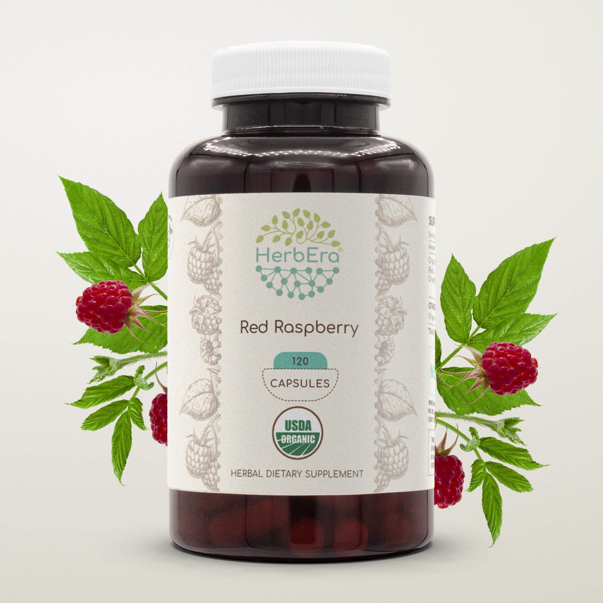 HerbEra Red Raspberry Capsules, Organic Herbal Dietary Supplement for ...