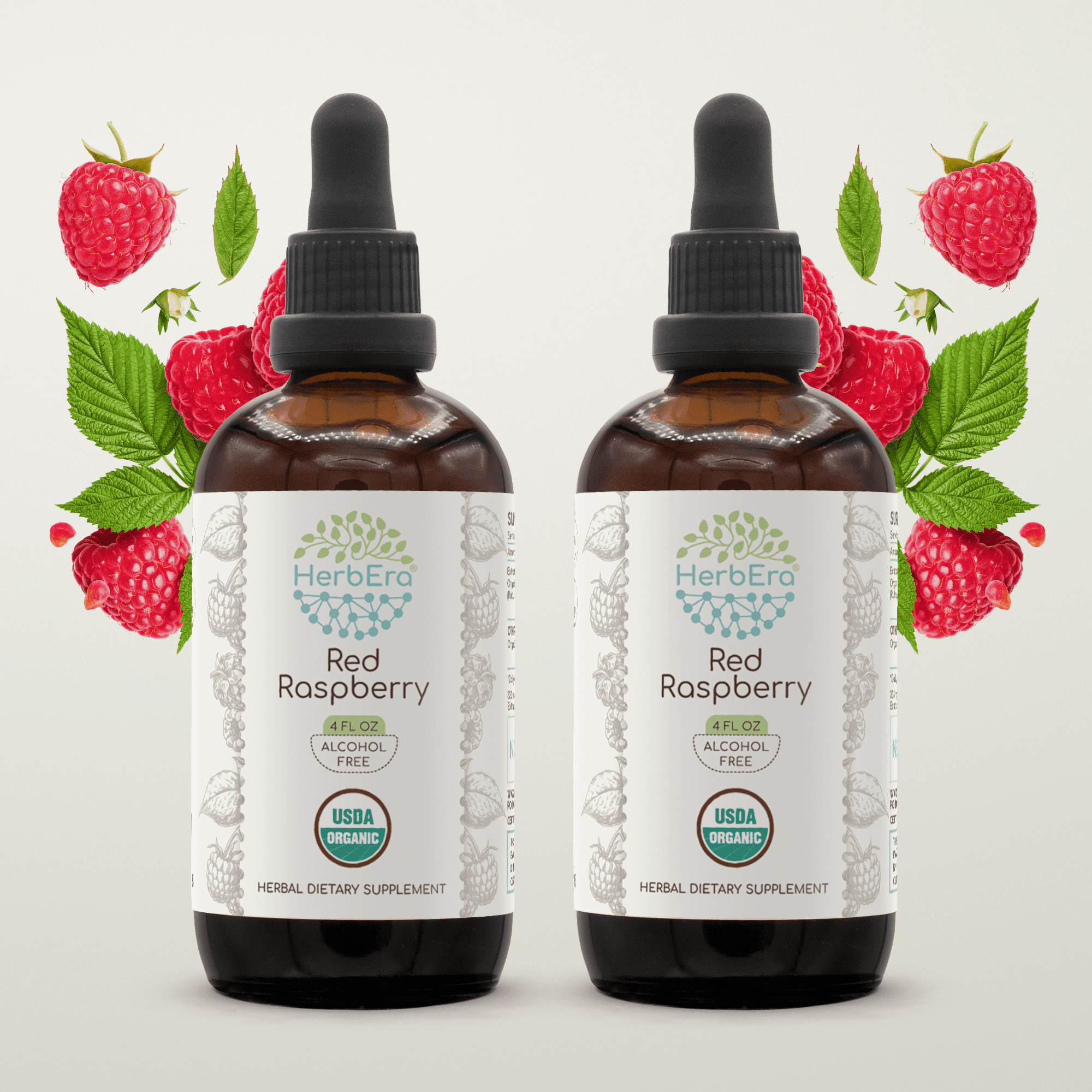 HerbEra Red Raspberry Tincture, Organic Herbal Dietary Supplement for ...