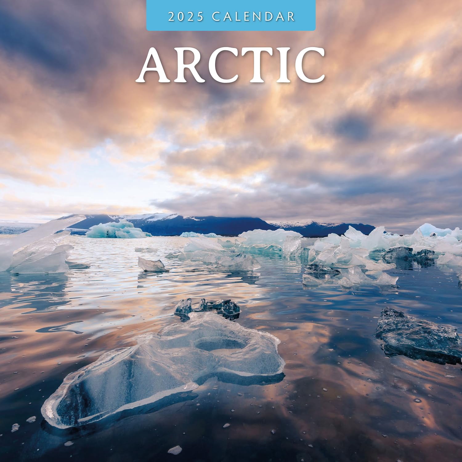 Red Robin 2025 Arctic Wall Calendar, Premium Paper, Hangable 12 Month ...