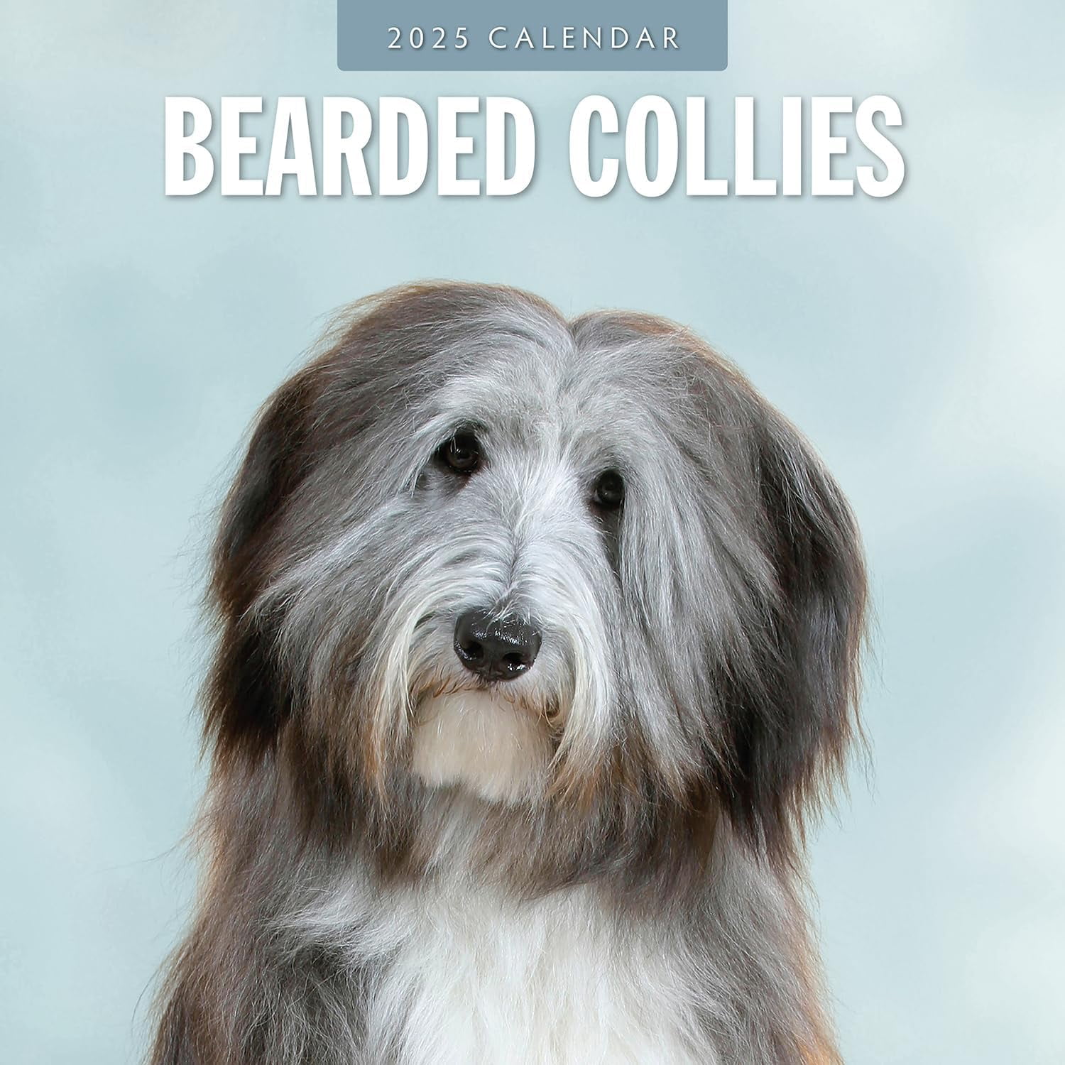 Red Robin 2025 Bearded Collies Wall Calendar, Premium Paper, Hangable ...