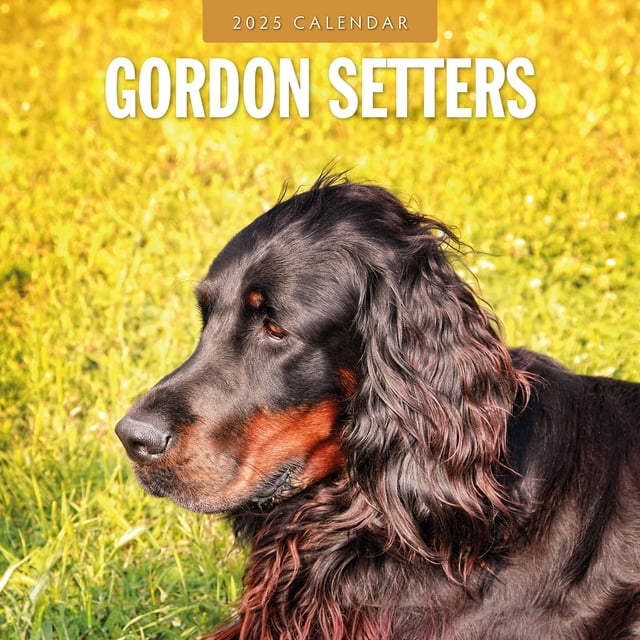 Red Robin 2025 Gordon Setters Wall Calendar, Premium Paper, Hangable 12 ...
