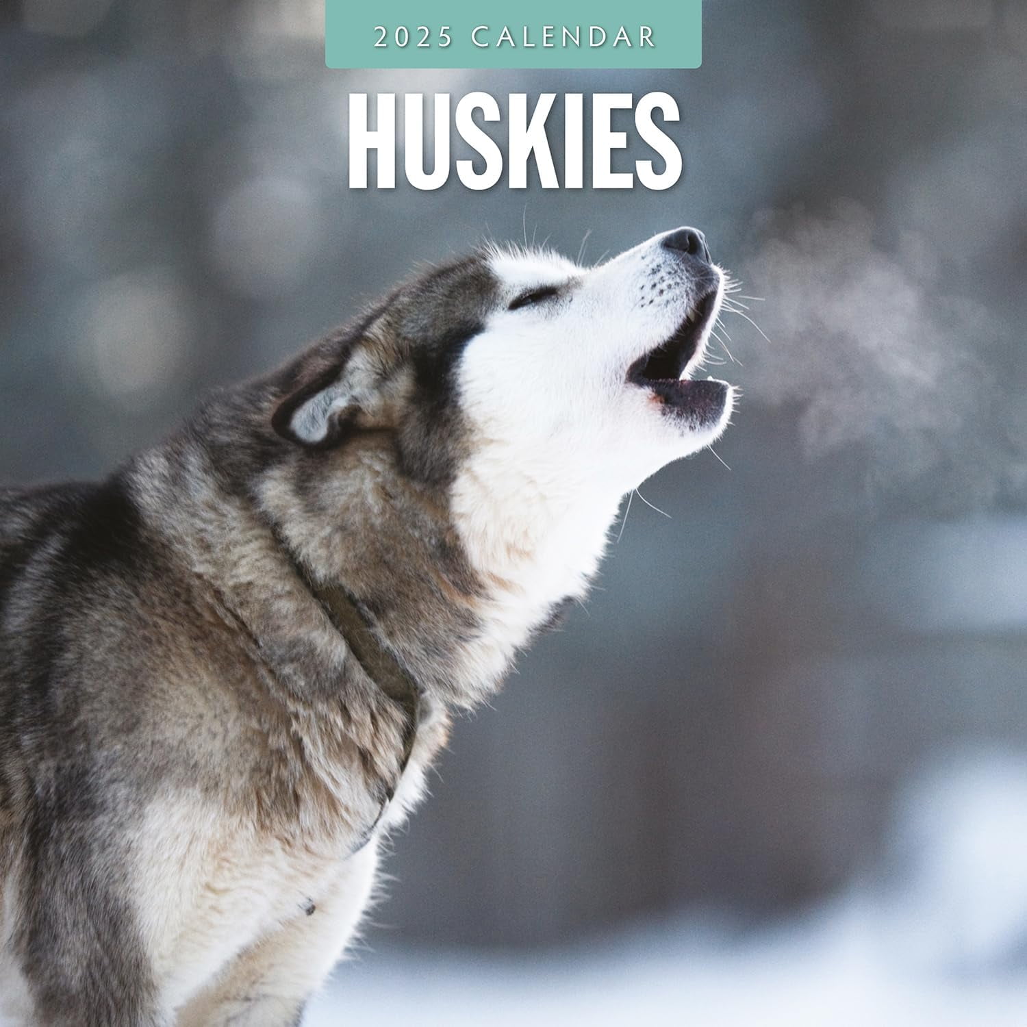 Red Robin 2025 Huskies Wall Calendar, Premium Paper, Hangable 12 Month ...