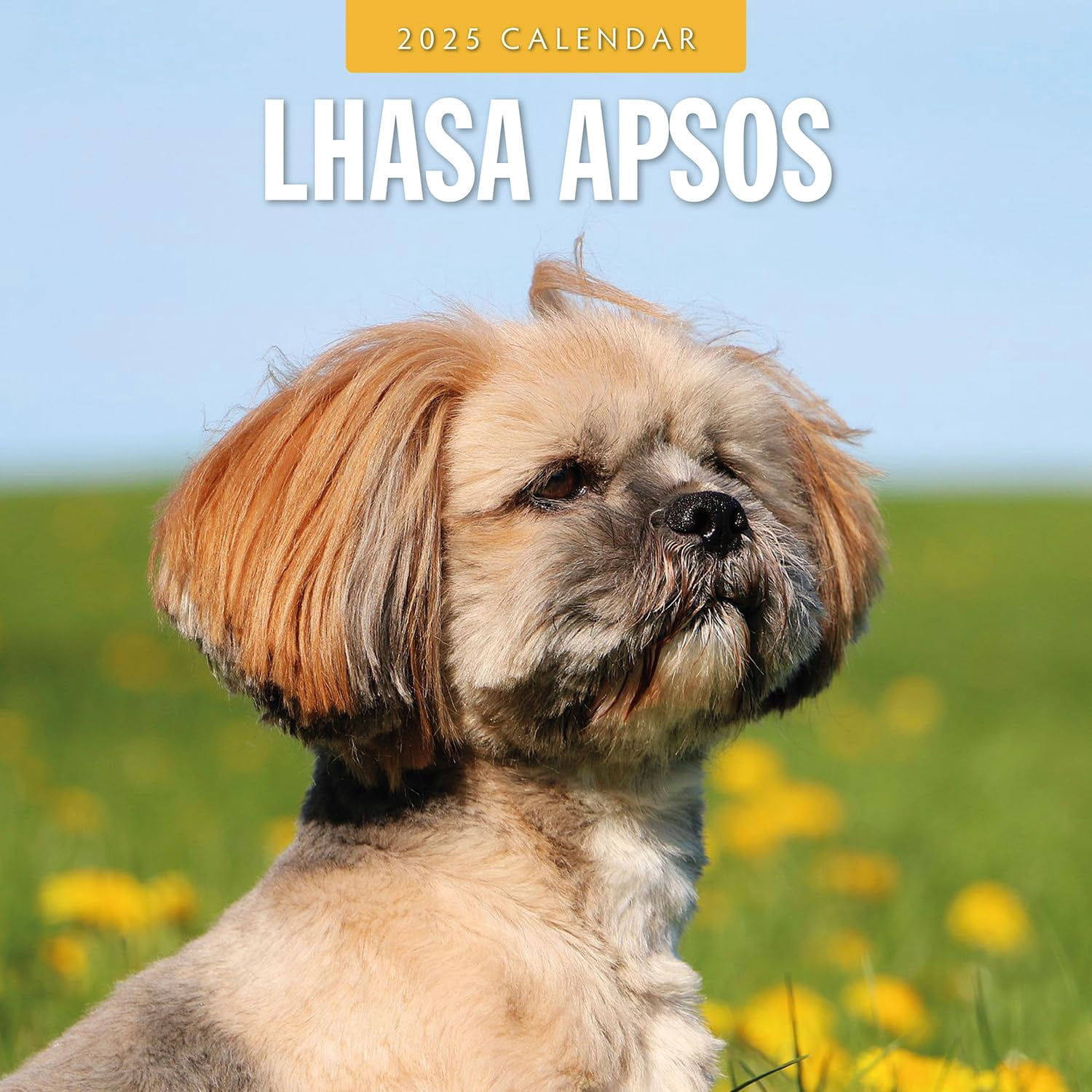 Red Robin 2025 Lhasa Apsos Wall Calendar, Premium Paper, Hangable 12 ...