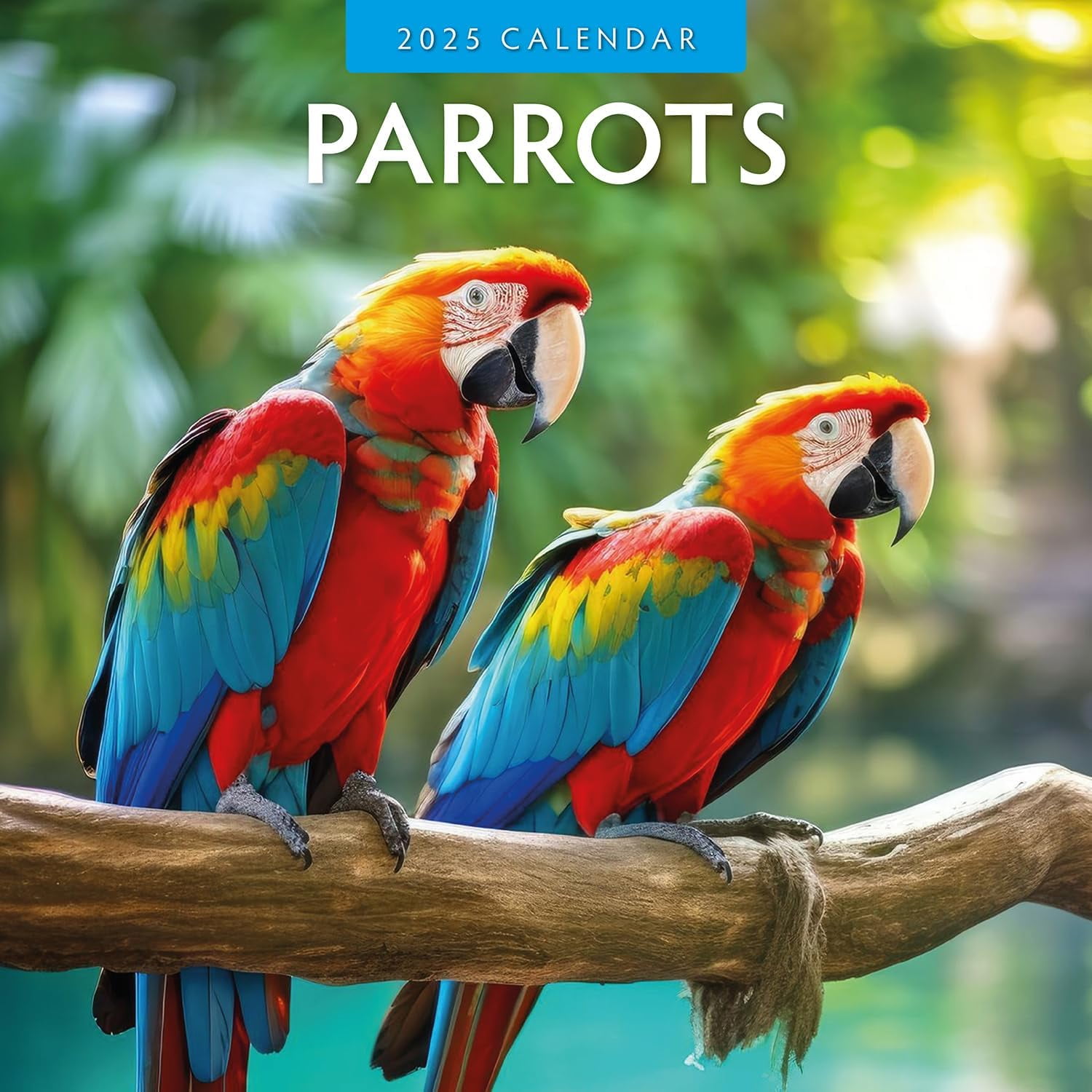 Red Robin 2025 Parrots Wall Calendar, Premium Paper, Hangable 12 Month ...