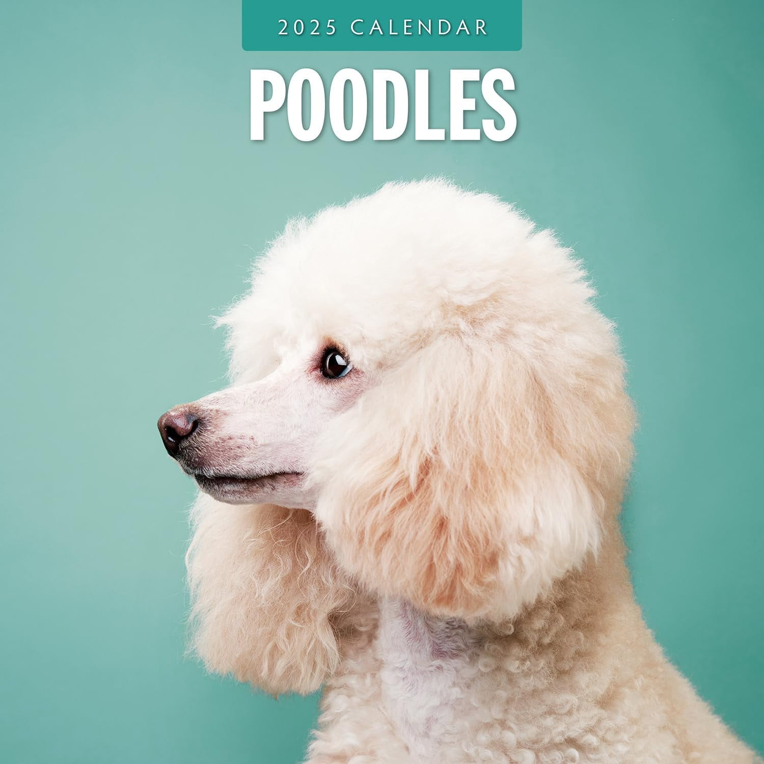 Red Robin 2025 Poodles Wall Calendar, Premium Paper, Hangable 12 Month ...