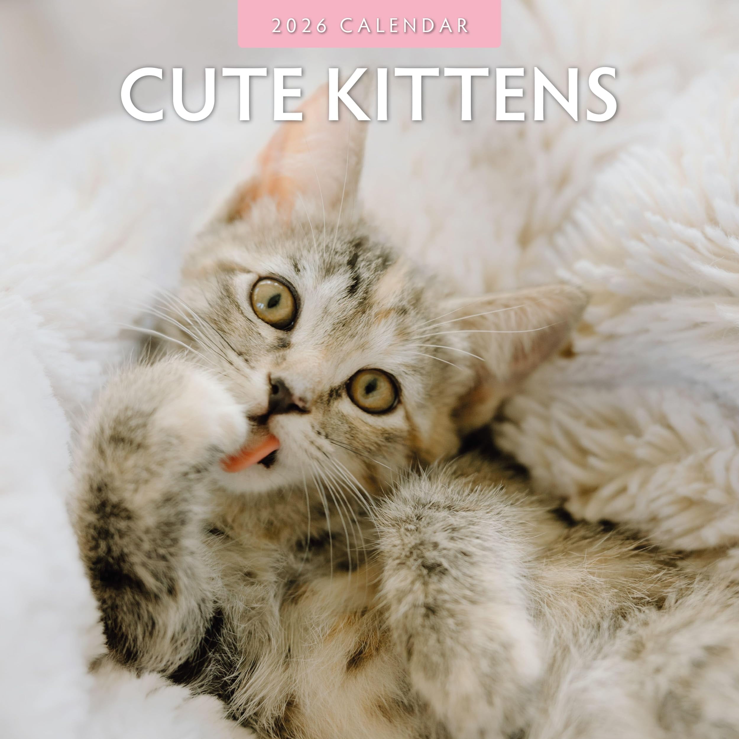 Red Robin 2026 Cute Kittens Monthly Wall Calendar | 12" x 24" Open ...