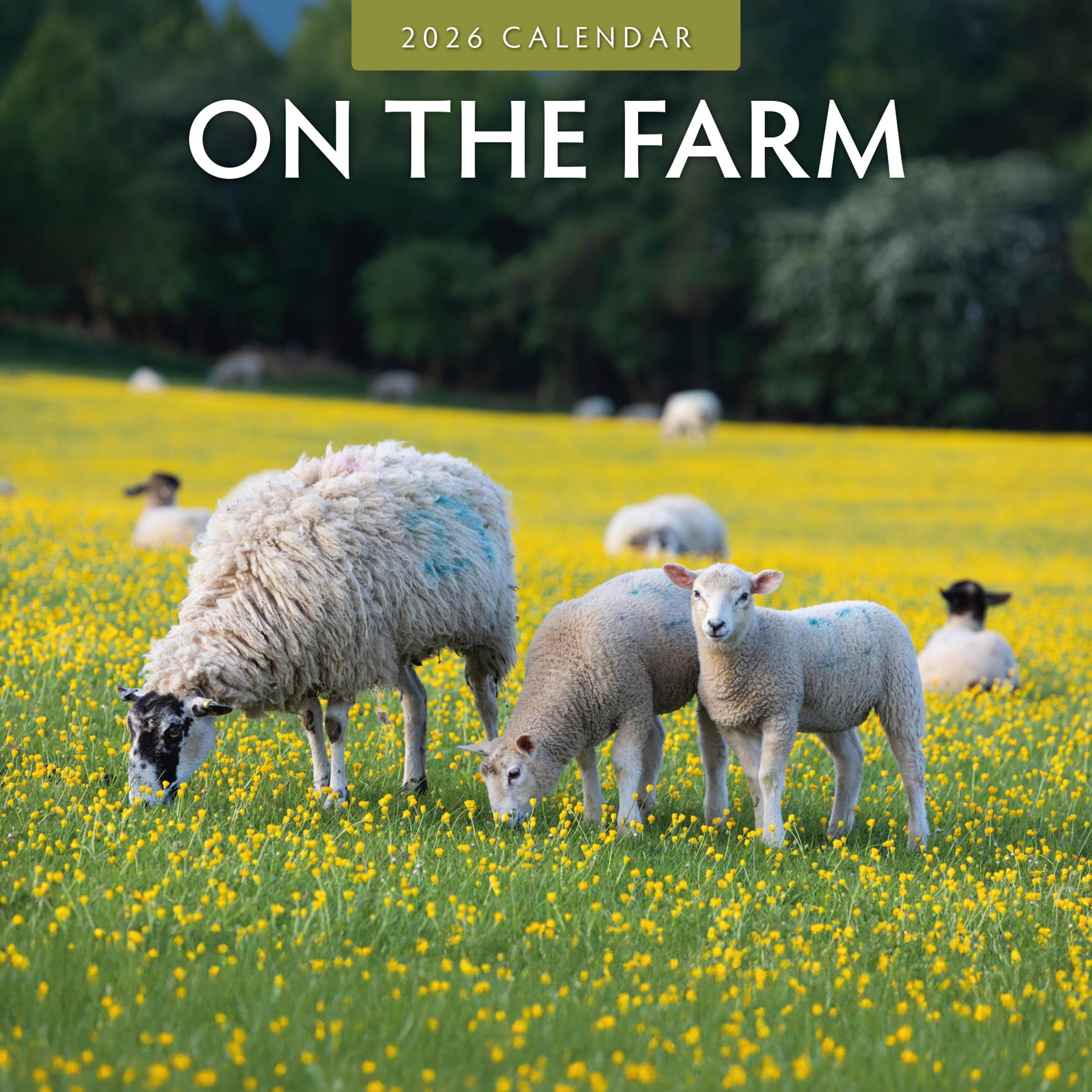 Red Robin 2026 On The Farm Monthly Wall Calendar | 12" x 24" Open ...