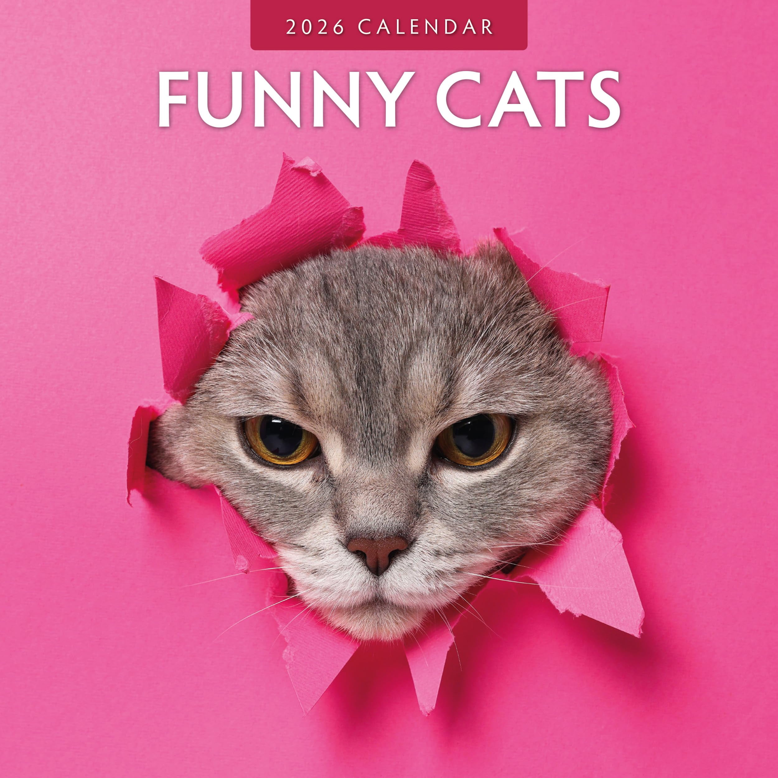 Red Robin 2026 Funny Cats Monthly Wall Calendar | 12" x 24" Open ...