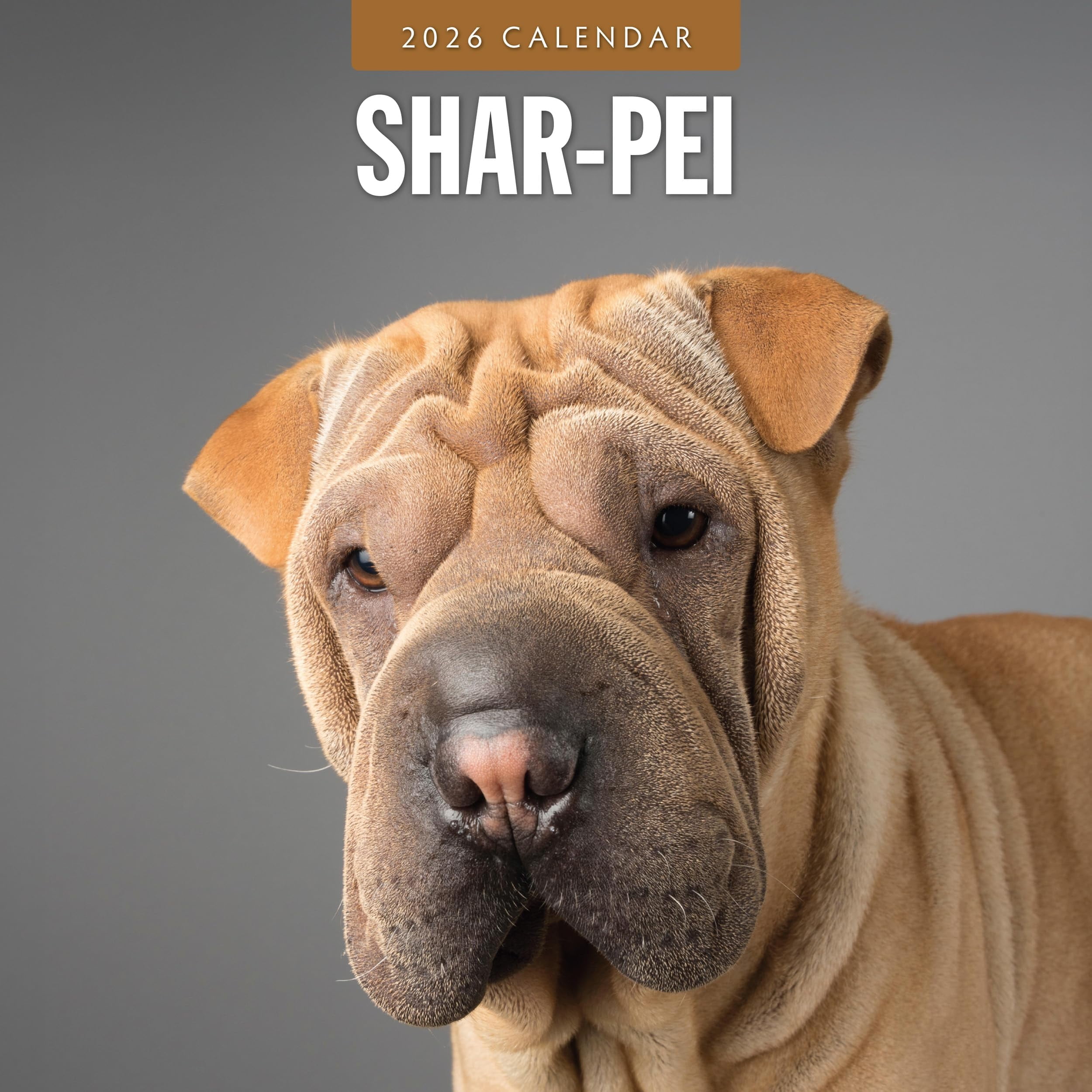 Red Robin 2026 Shar-Pei Monthly Wall Calendar | 12" x 24" Open ...