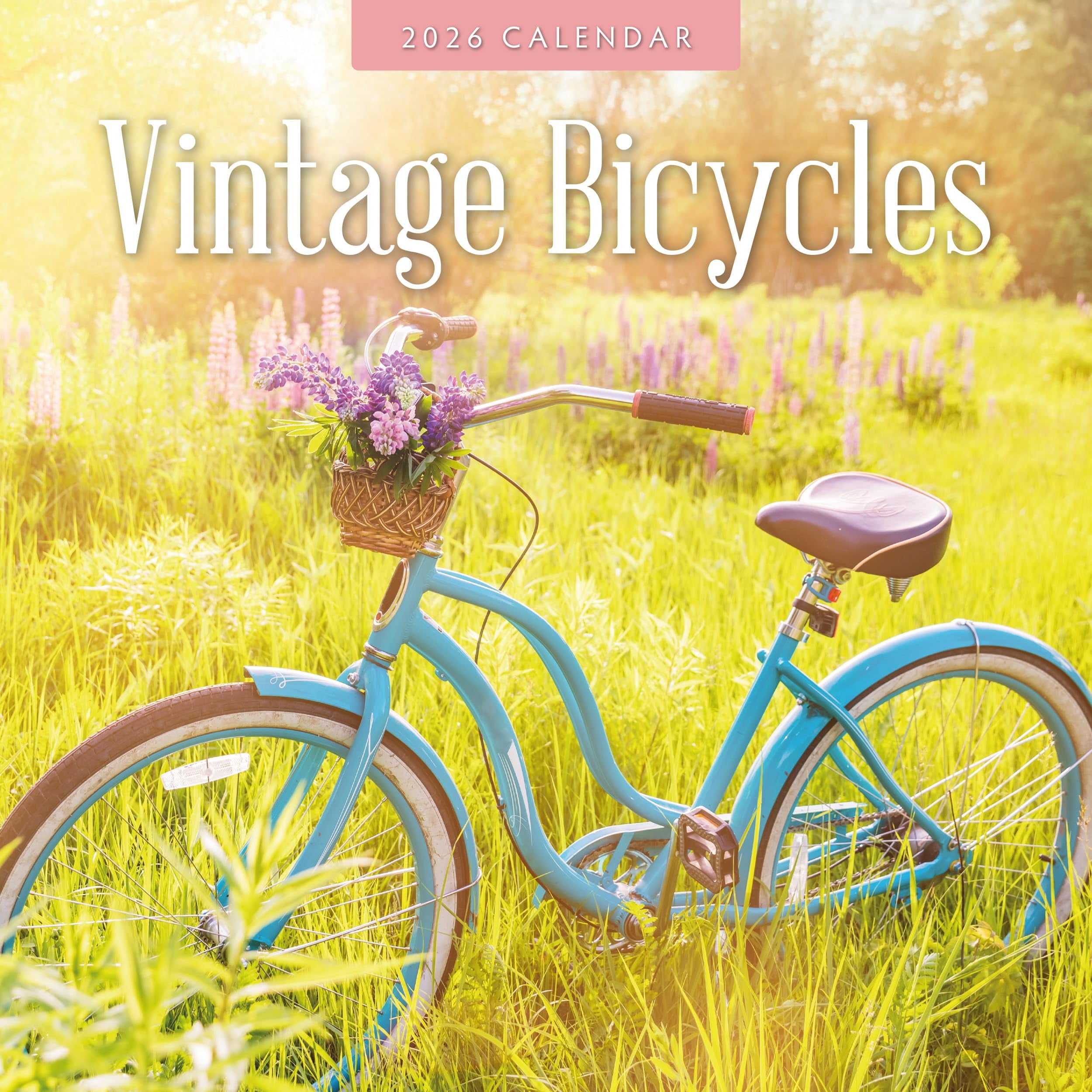 Red Robin 2026 Vintage Bicycles Monthly Wall Calendar | 12" x 24" Open ...
