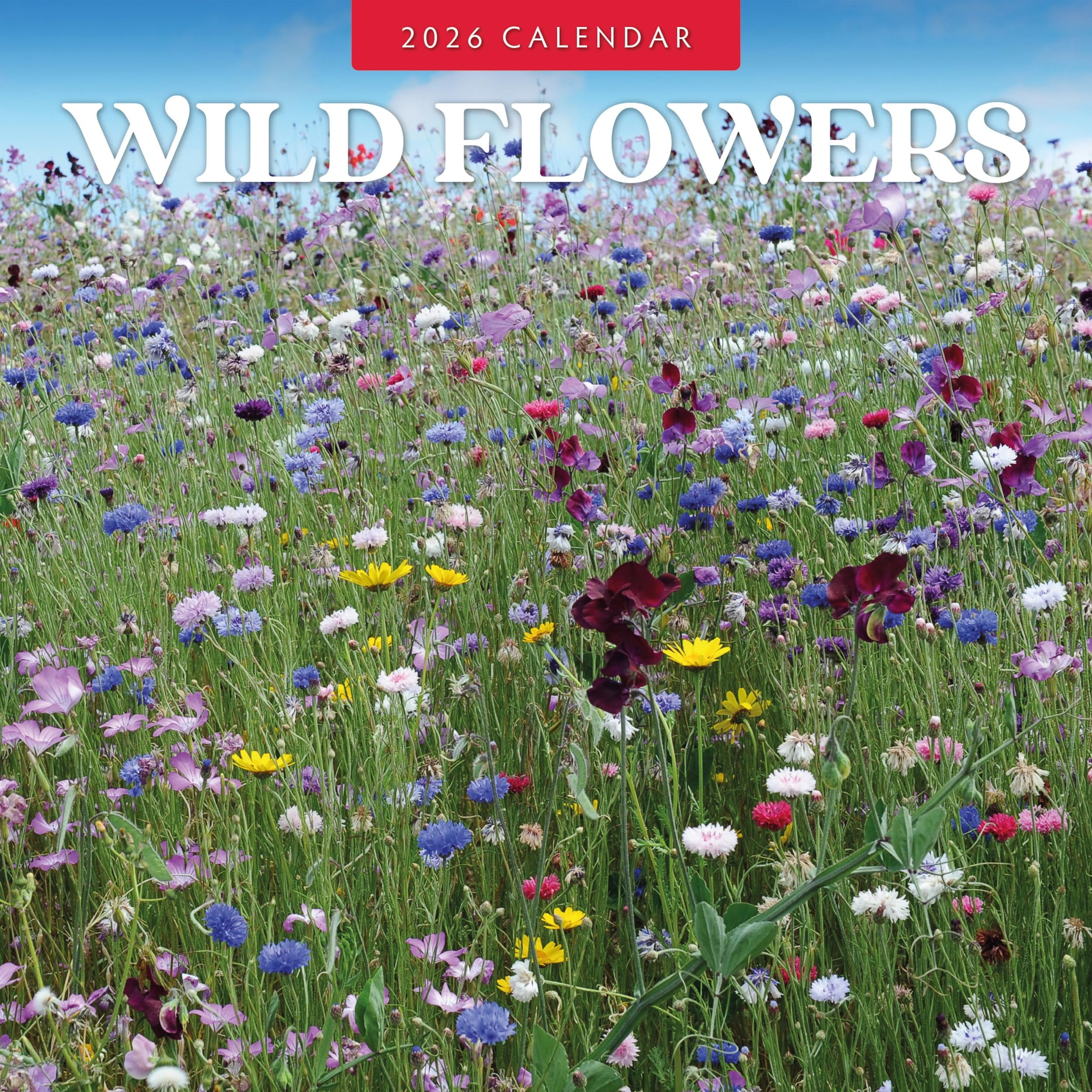 Red Robin 2026 Wild Flowers Monthly Wall Calendar | 12" x 24" Open ...