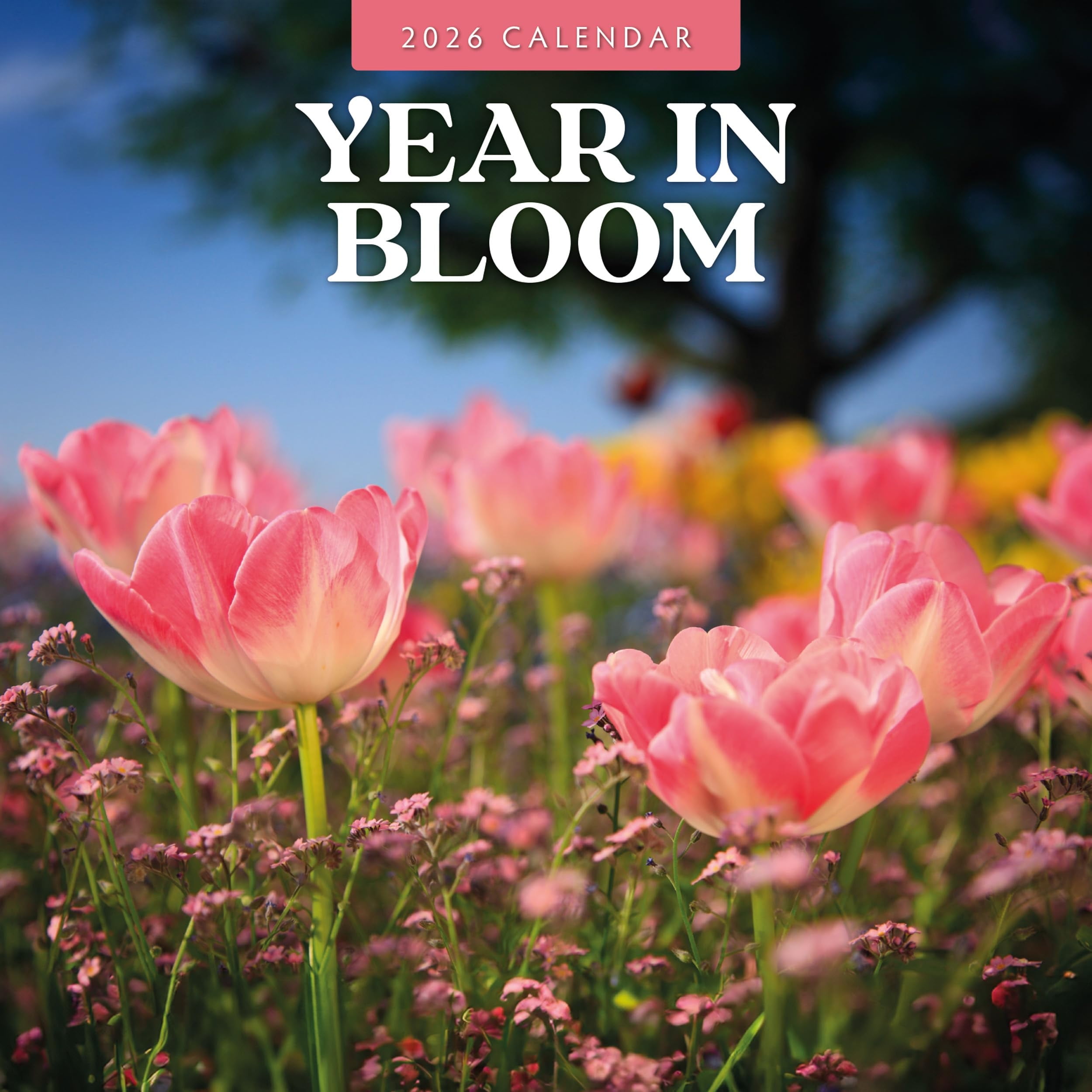 Red Robin 2026 Year in Bloom Monthly Wall Calendar | 12" x 24" Open ...