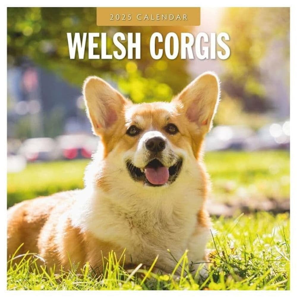 Red Robin Publishing, Welsh Corgis 2025 Wall Calendar - Walmart.com