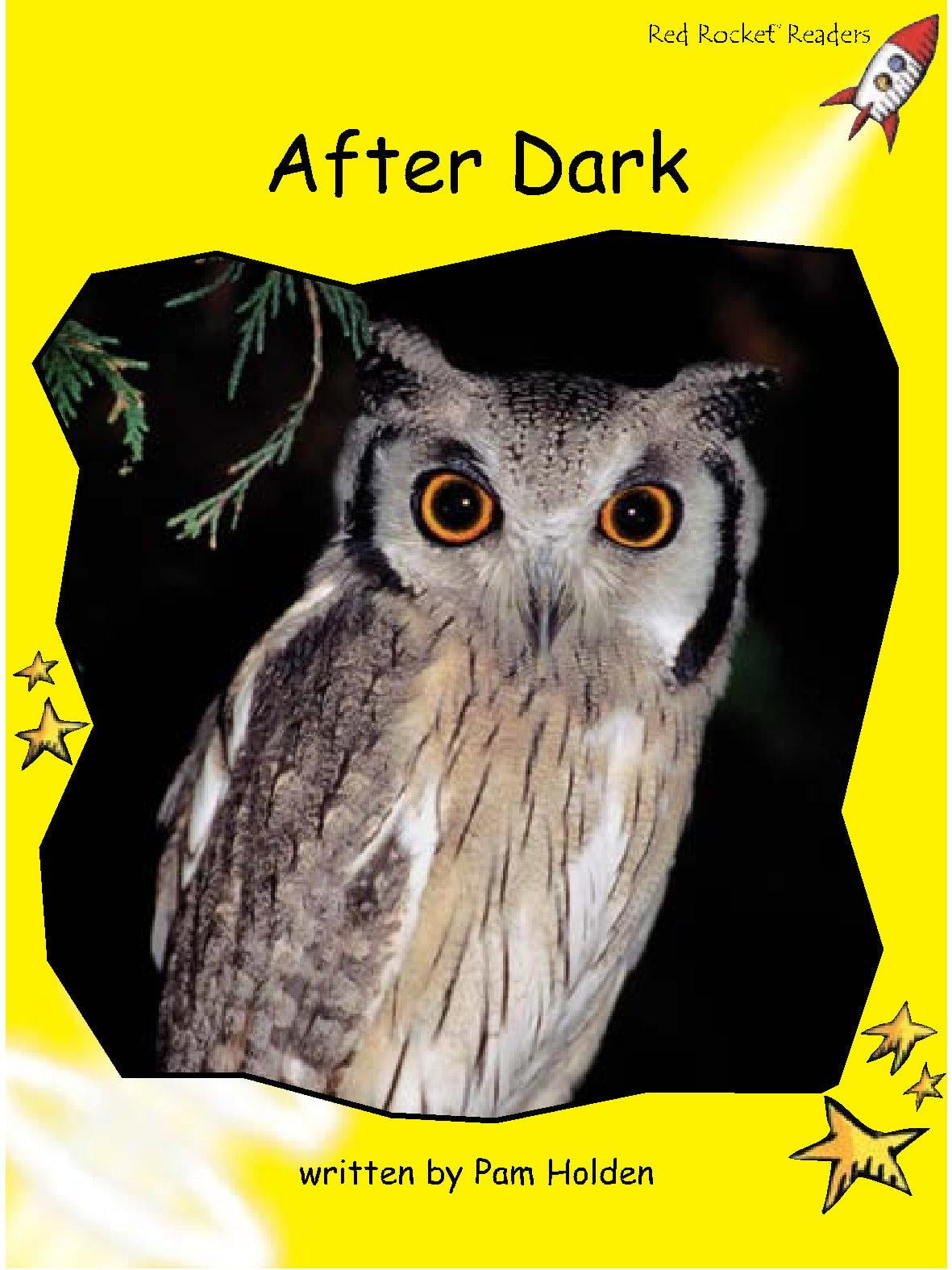 Red Rocket Readers: After Dark (Paperback) - Walmart.com